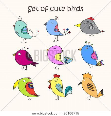 Set 9 Cute Birds Vector & Photo (Free Trial) | Bigstock