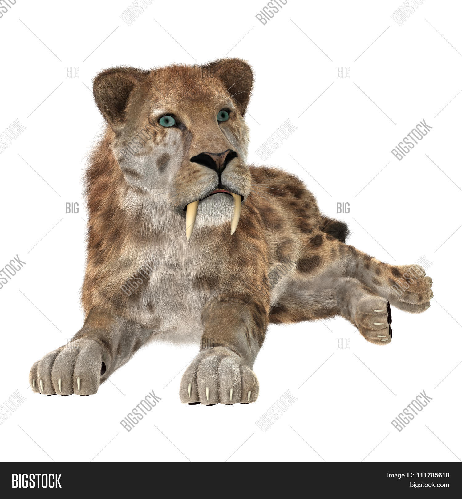 Big Cat Sabertooth Image & Photo (Free Trial) | Bigstock