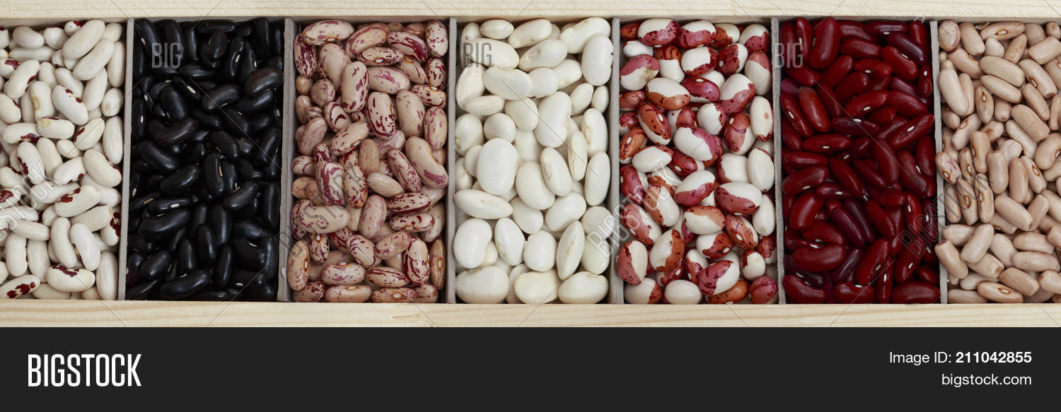Beans Different Colors Image & Photo (Free Trial) | Bigstock
