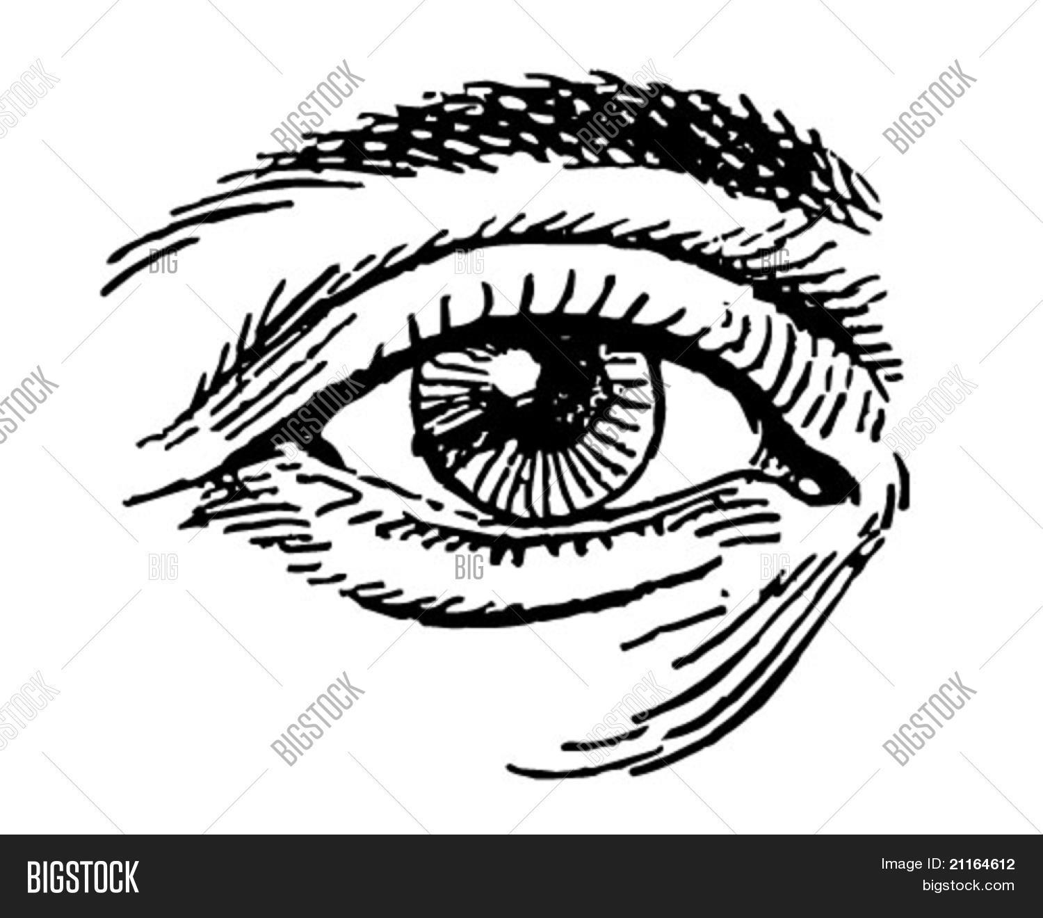 Human Eye - Retro Vector & Photo (Free Trial) | Bigstock