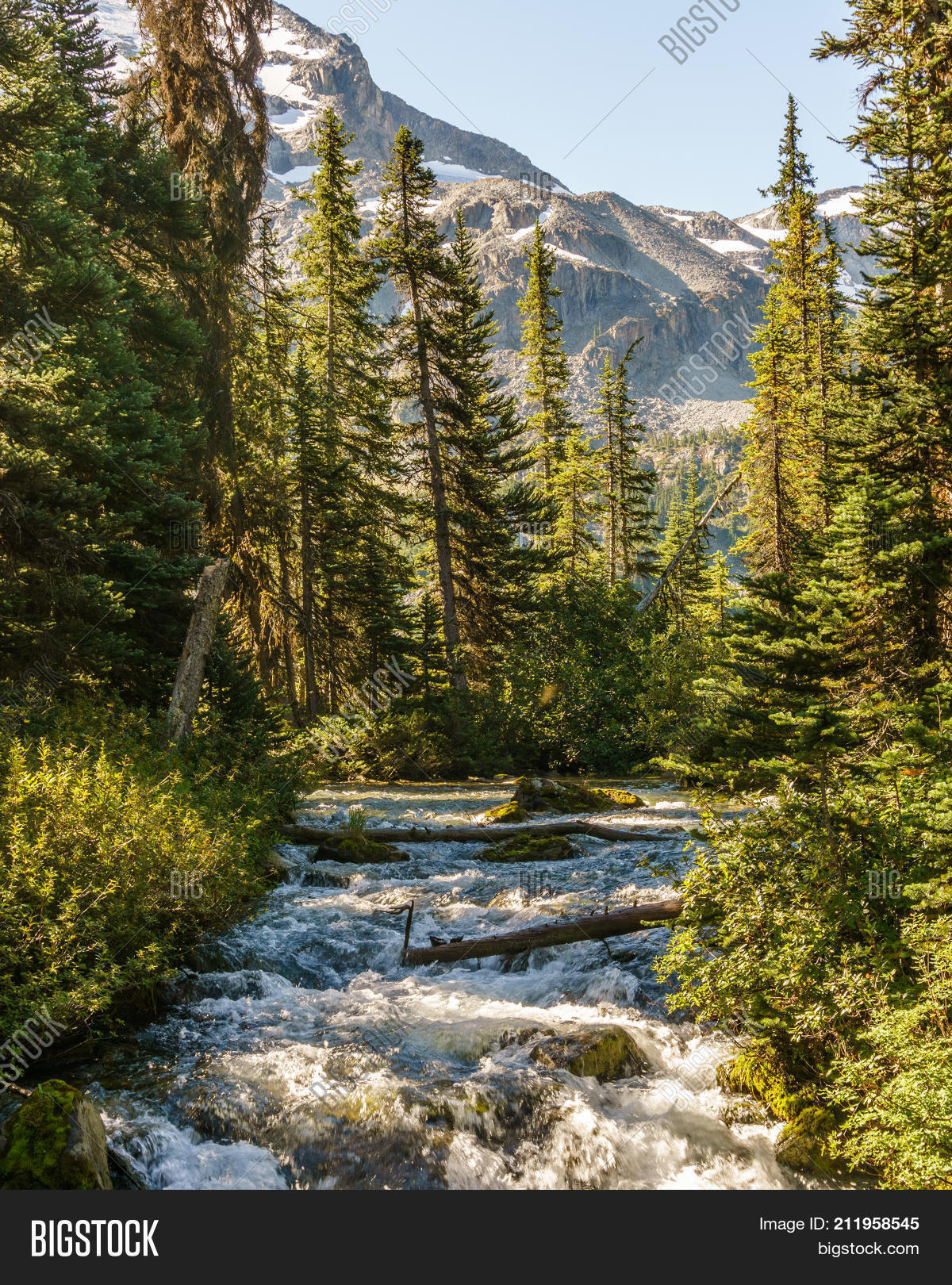 Fast Water Stream Wild Image & Photo (Free Trial) | Bigstock