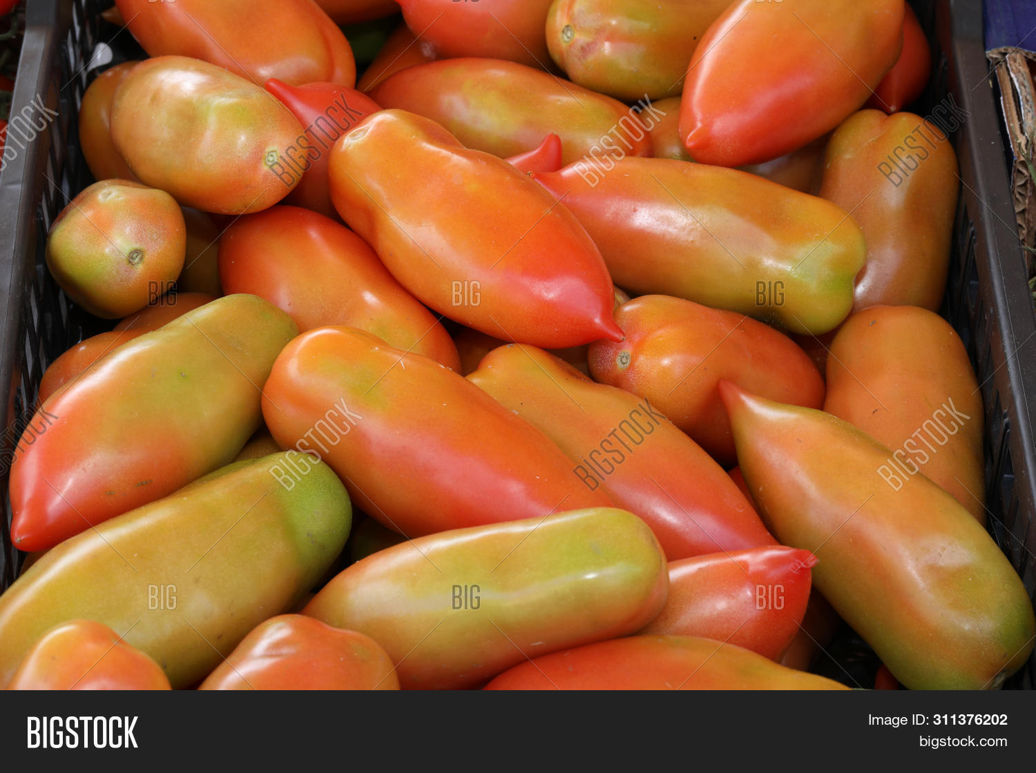 Baxes Red Oblong Image & Photo (Free Trial) | Bigstock