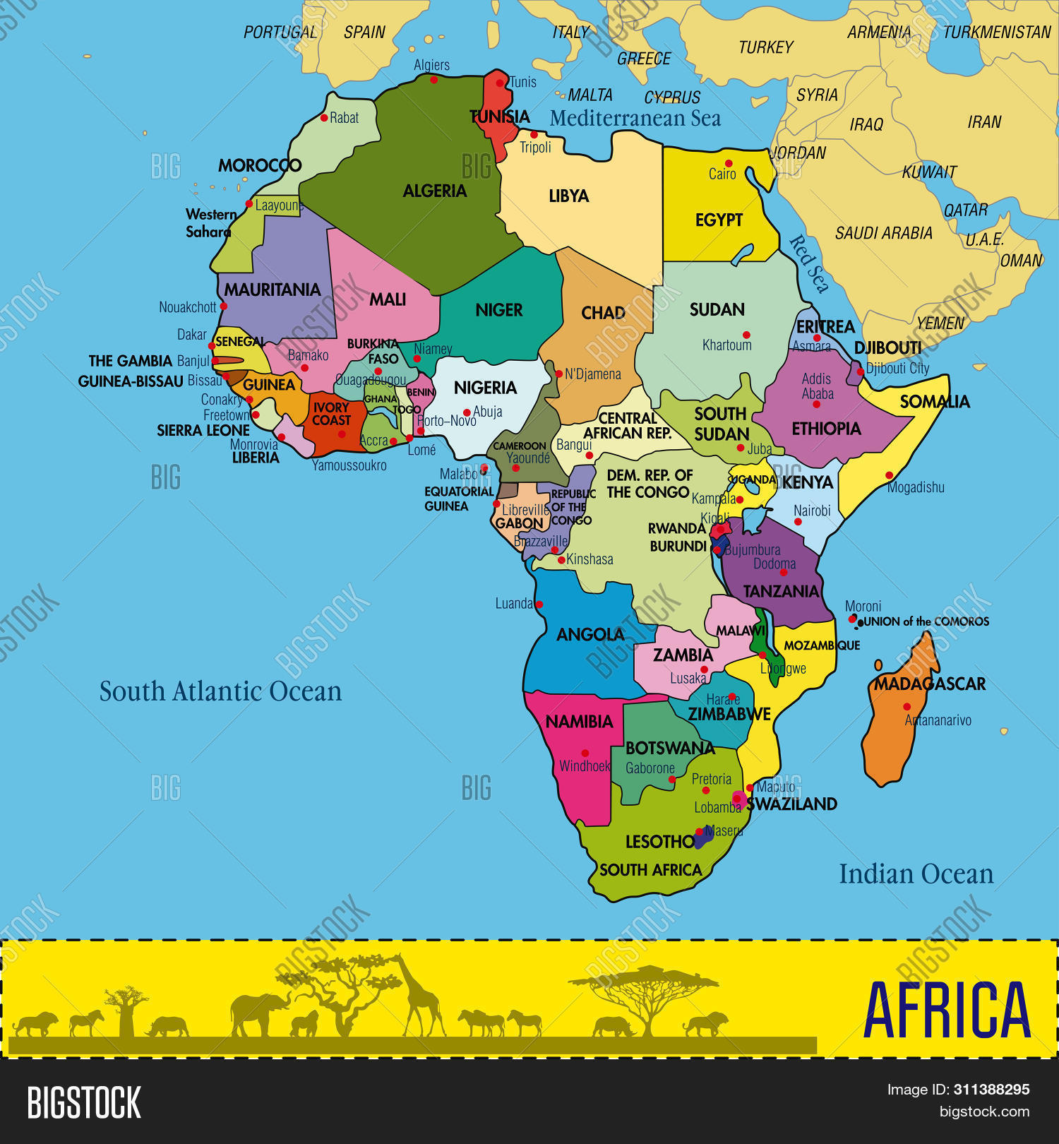 Highly Detailed Vector & Photo (Free Trial) | Bigstock