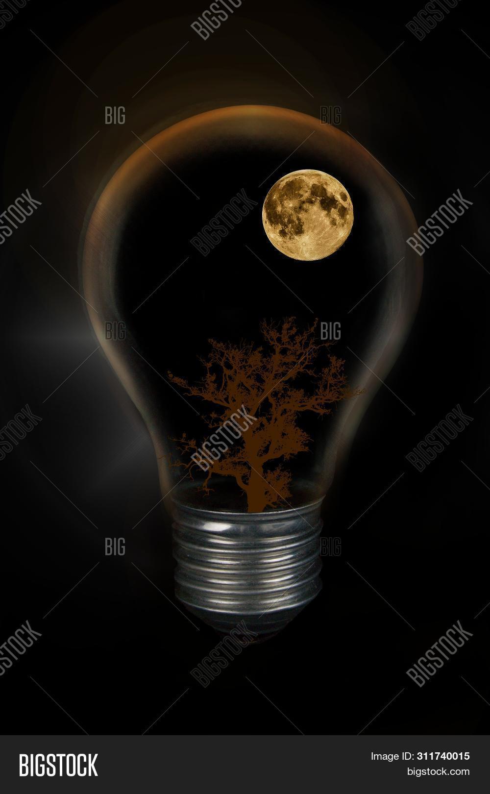 Light Bulb Tree Image & Photo (Free Trial) | Bigstock