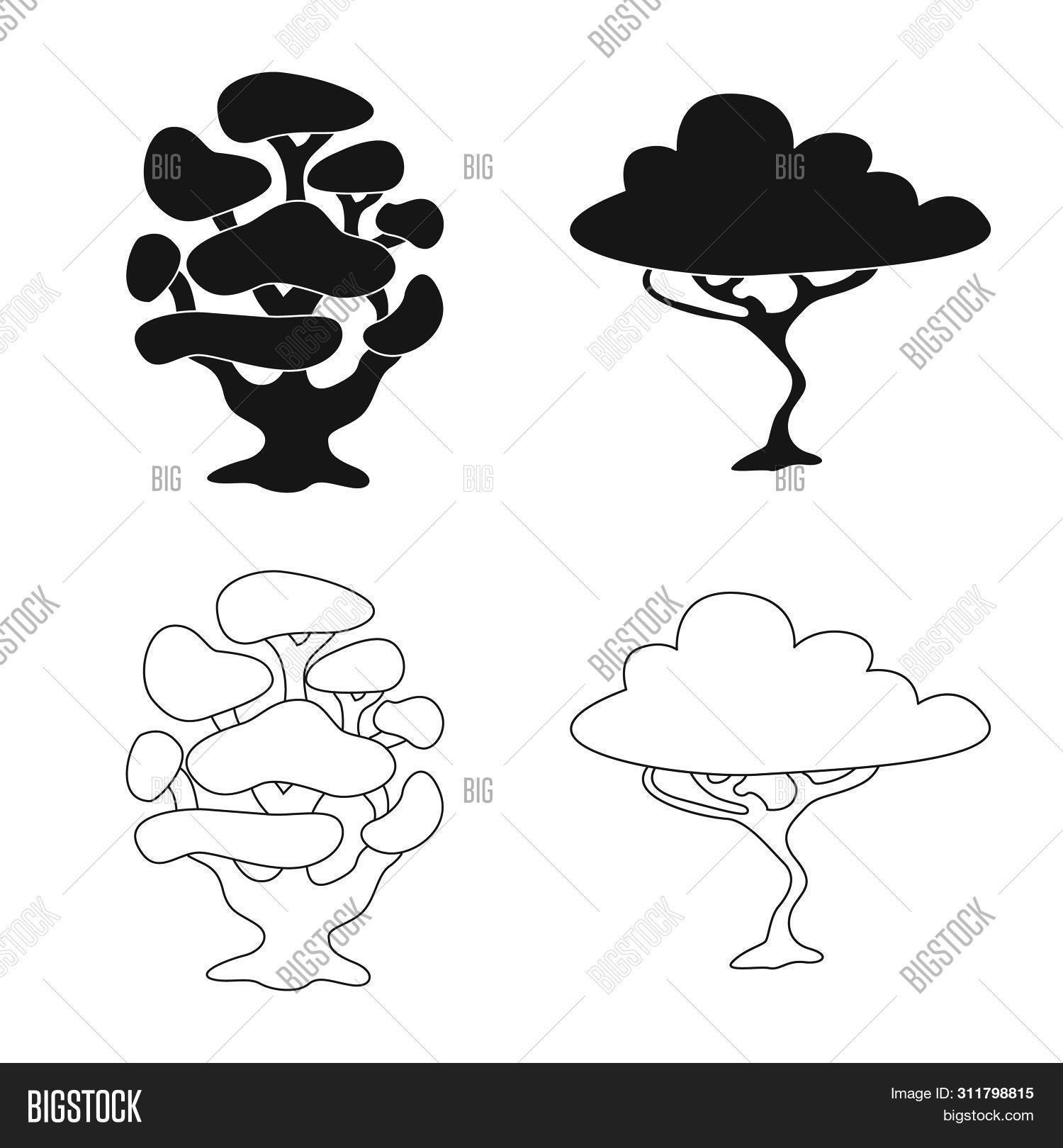 Bitmap Design Tree Image & Photo (Free Trial) | Bigstock