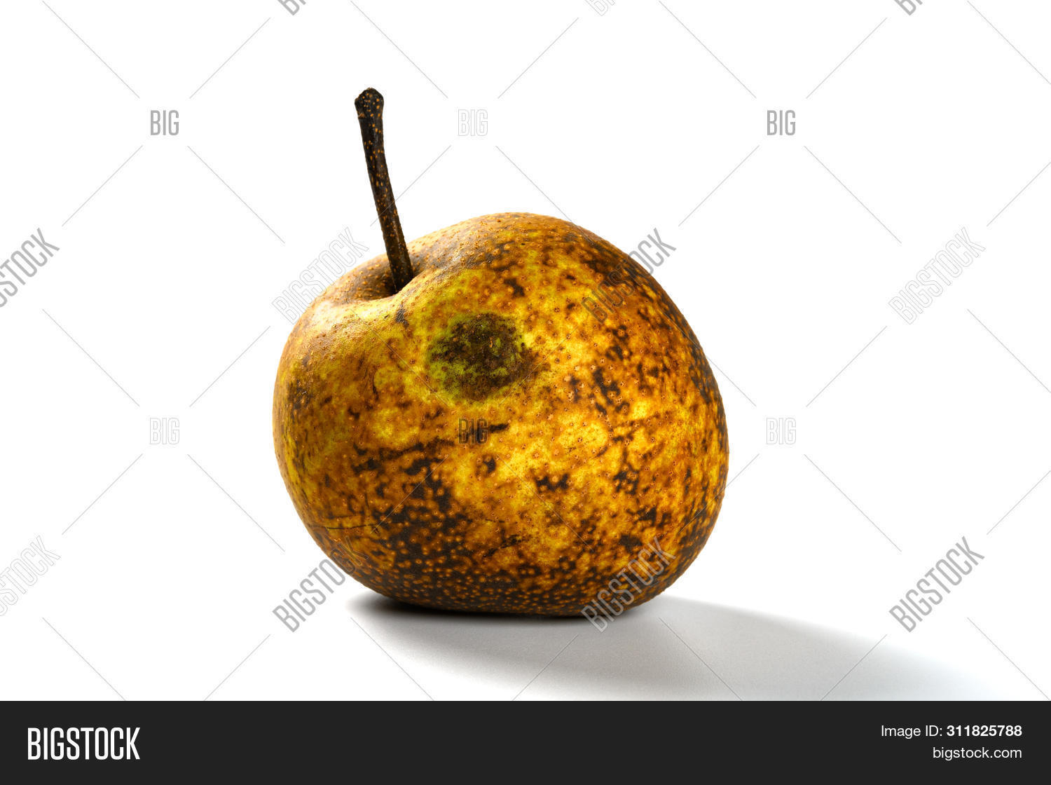 Overripe Pear On White Image & Photo (Free Trial) | Bigstock