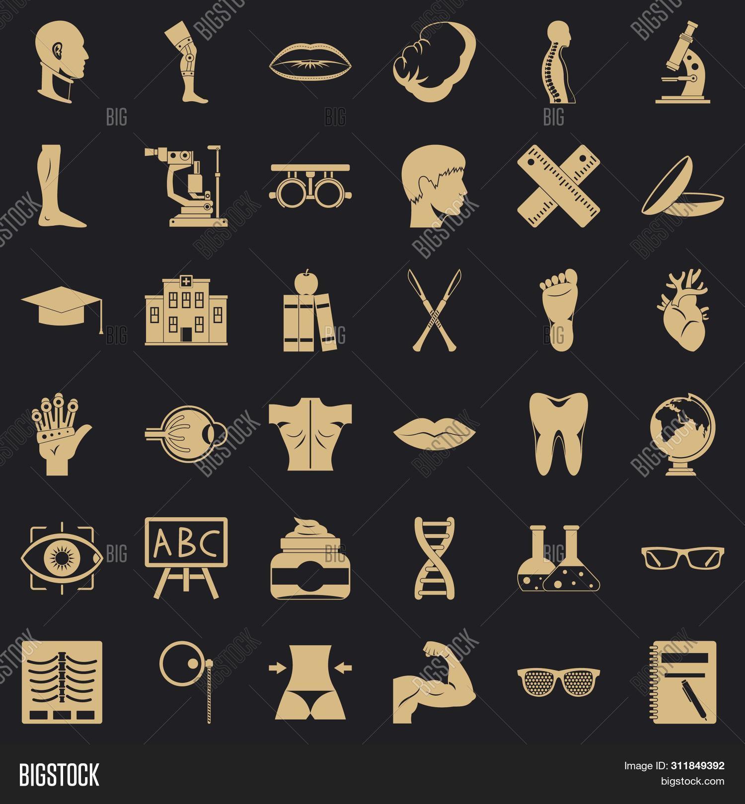 Human Anatomy Icons Image & Photo (Free Trial) | Bigstock