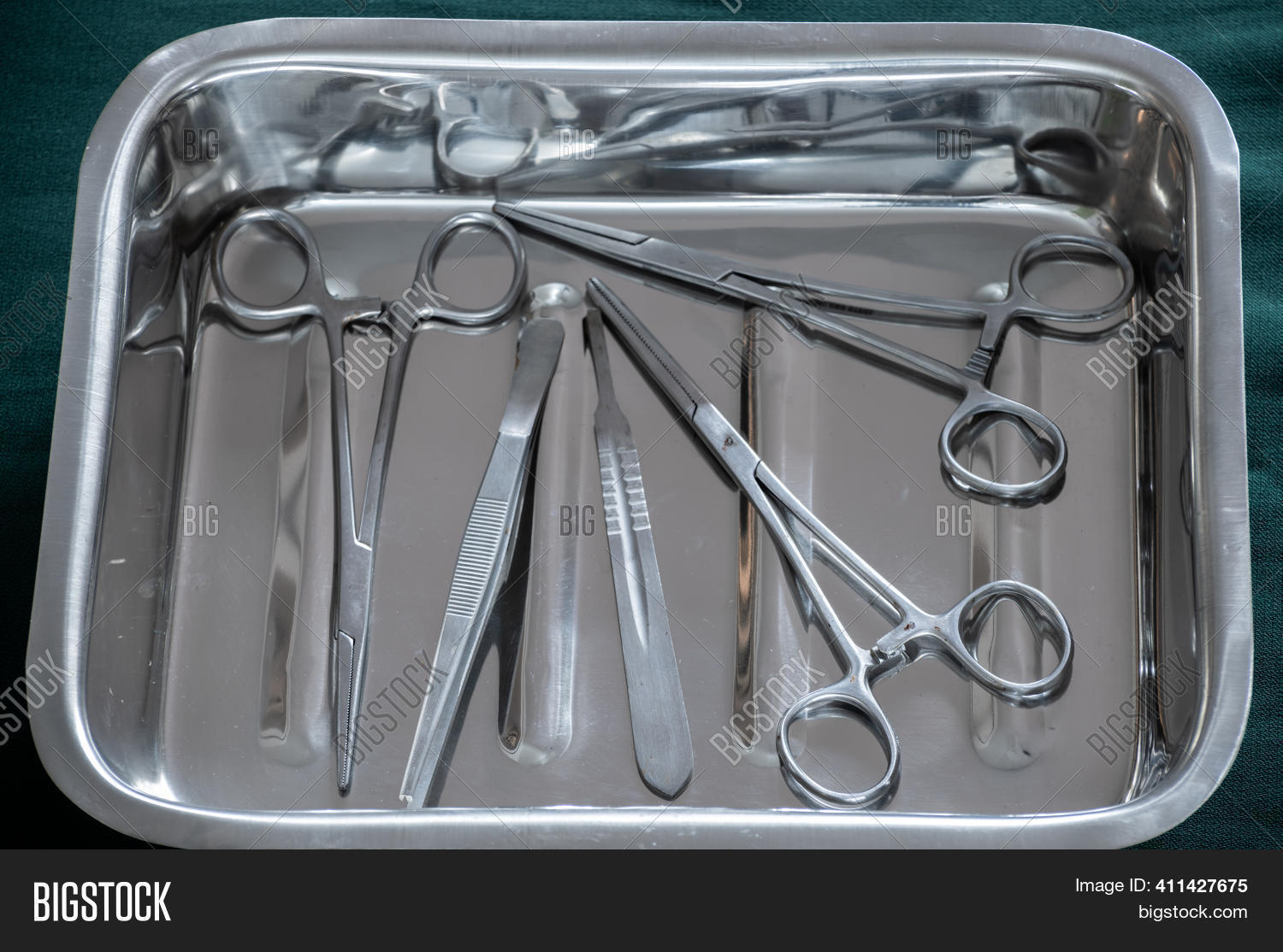 Hemostatic Forceps Image & Photo (Free Trial) | Bigstock