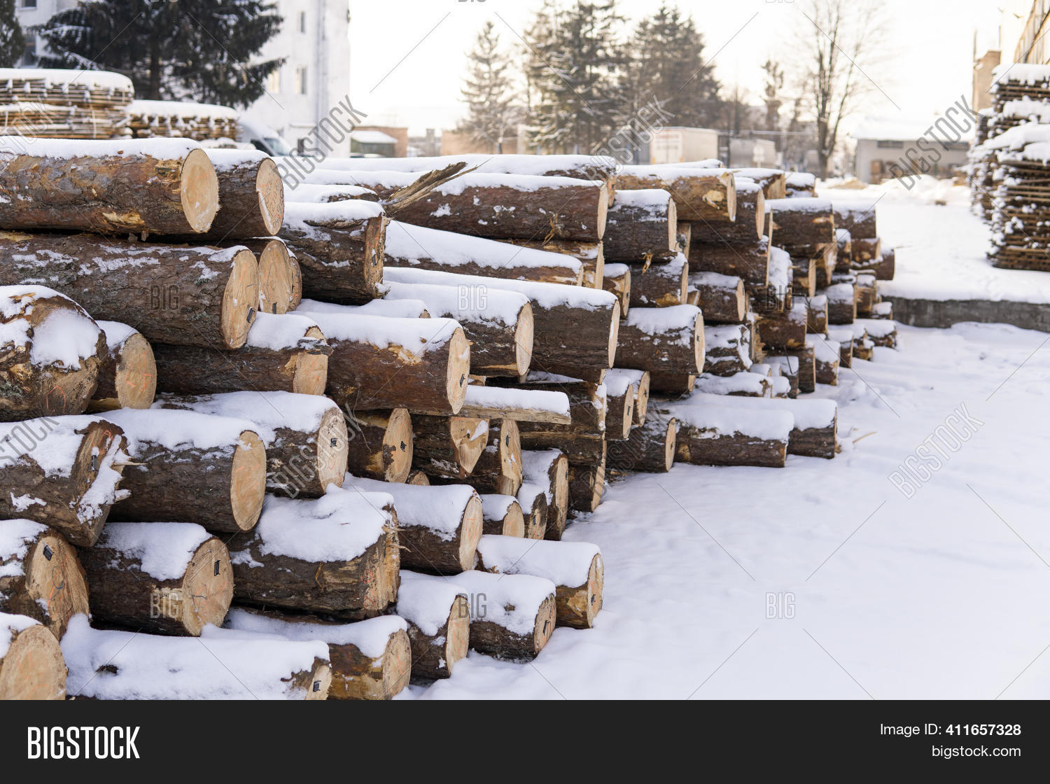 Pile Logs On Sawmill Image & Photo (Free Trial) | Bigstock
