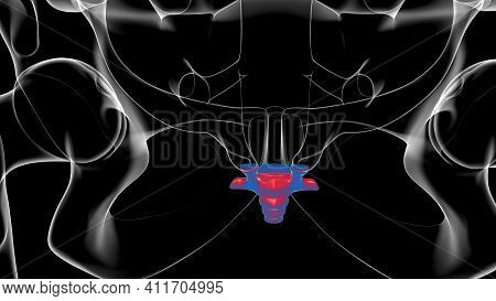 Human Skeleton Image & Photo (Free Trial) | Bigstock