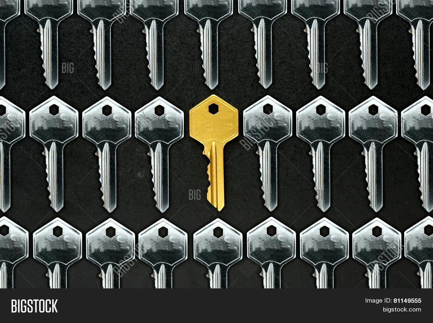 Golden Key Among Image & Photo (Free Trial) | Bigstock