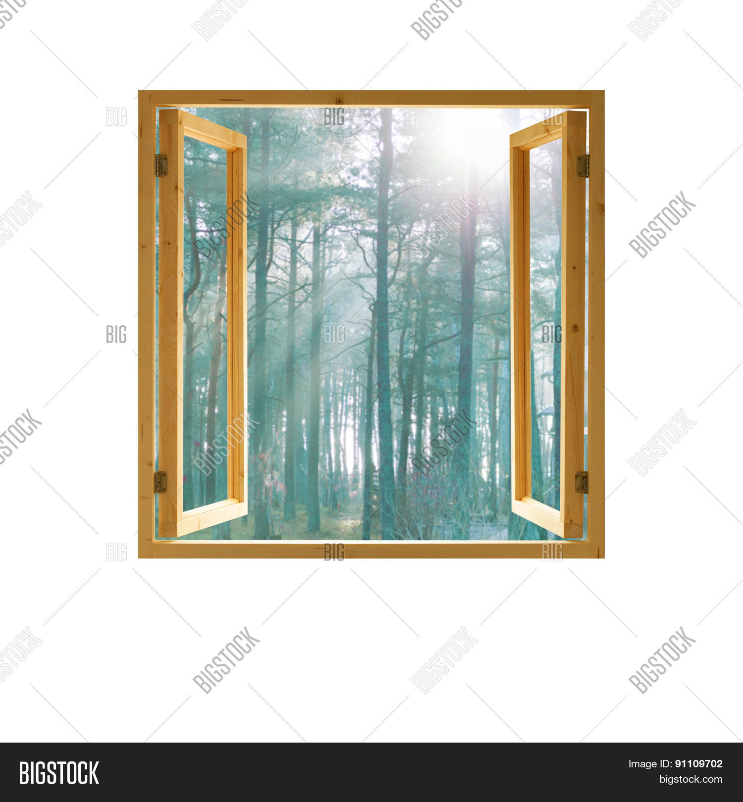 Open Window At Morning