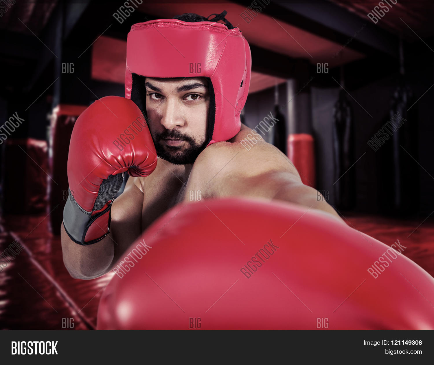 Muscular Man Boxing Image & Photo (Free Trial) | Bigstock