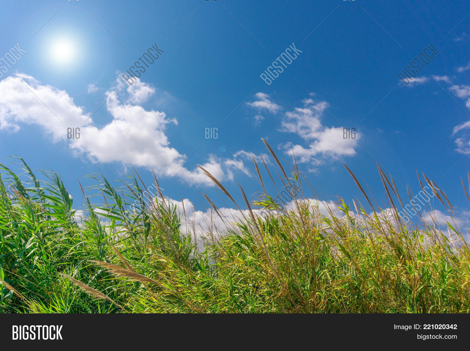 Wind Nature Wallpapers Wind Capture HD Wallpaper