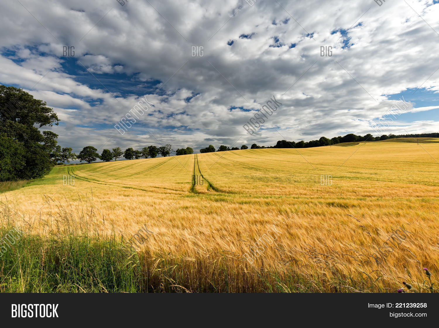 Landscape View Idyllic Image & Photo (Free Trial) | Bigstock