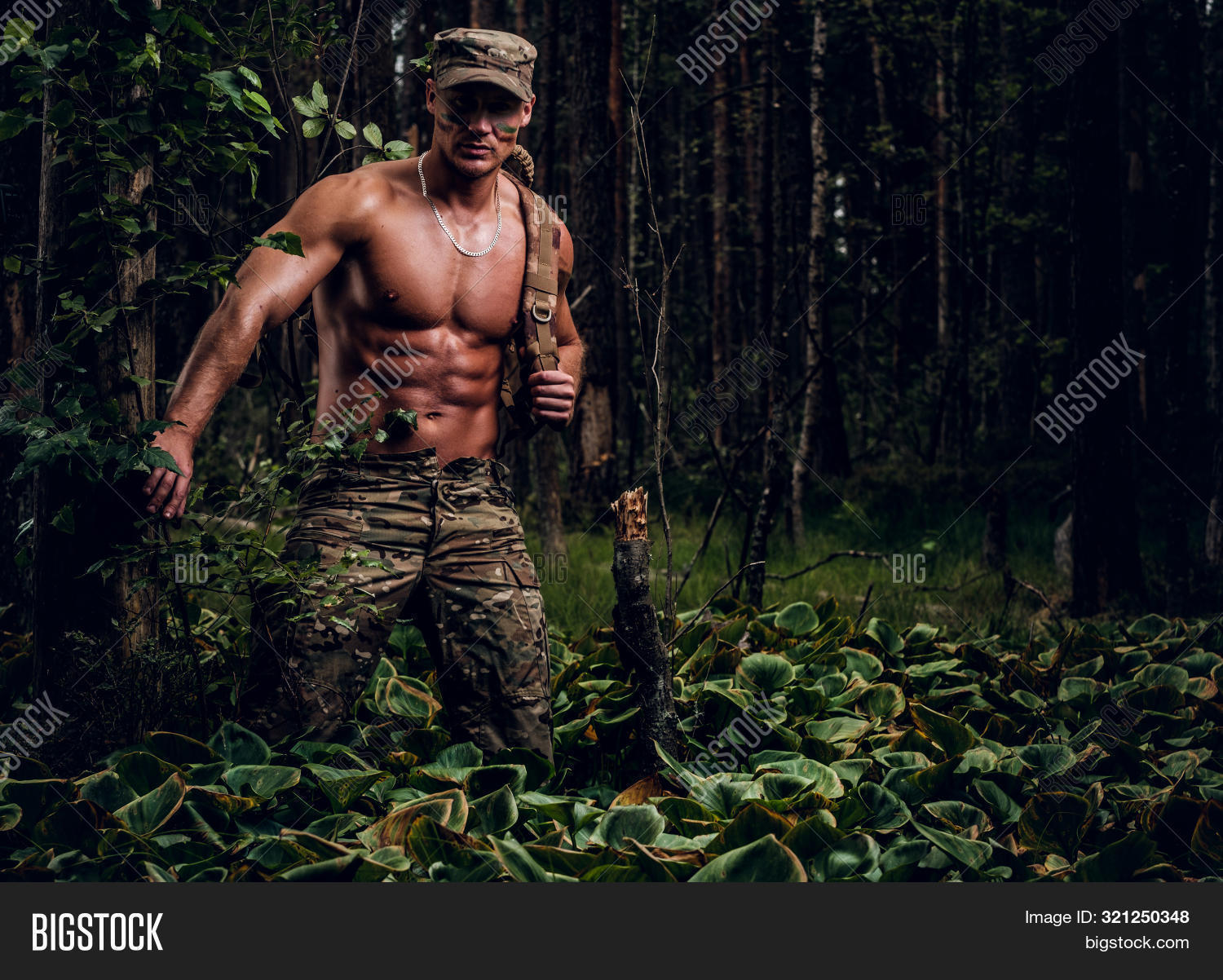 Brutal Muscular Man Image & Photo (Free Trial) | Bigstock