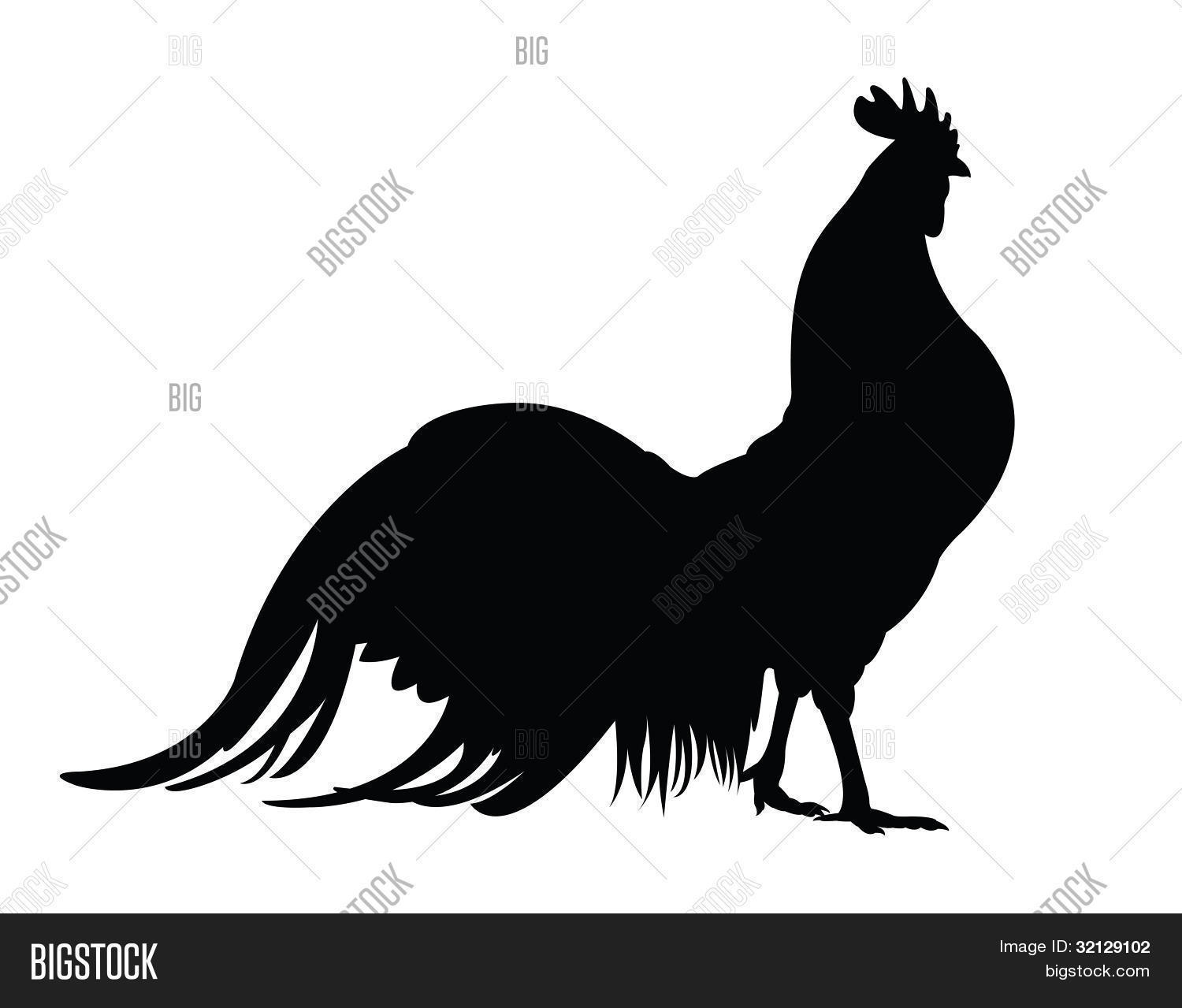 Rooster Silhouette Vector & Photo (Free Trial) | Bigstock