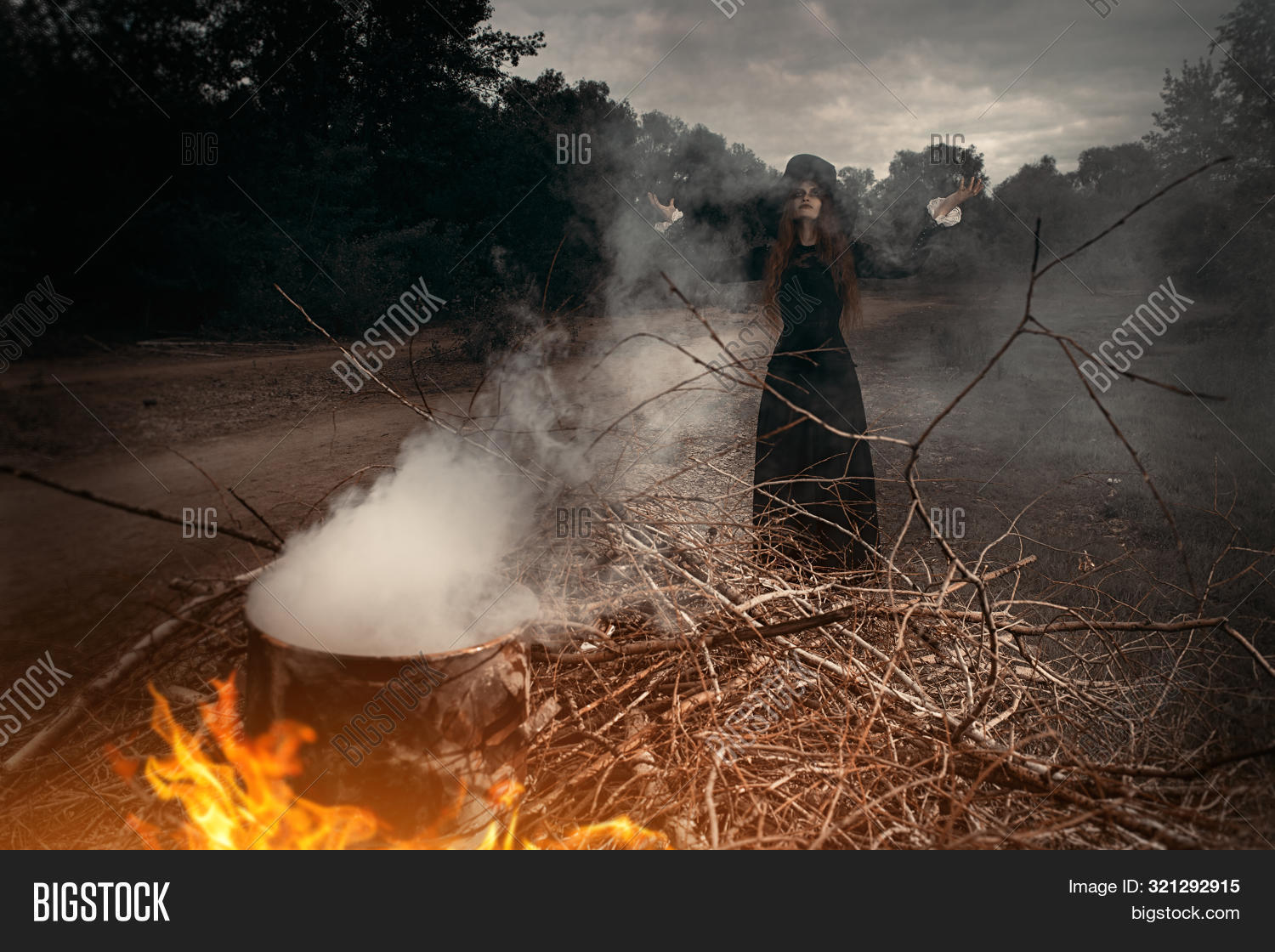 Portrait Angry Witch Image & Photo (Free Trial) | Bigstock