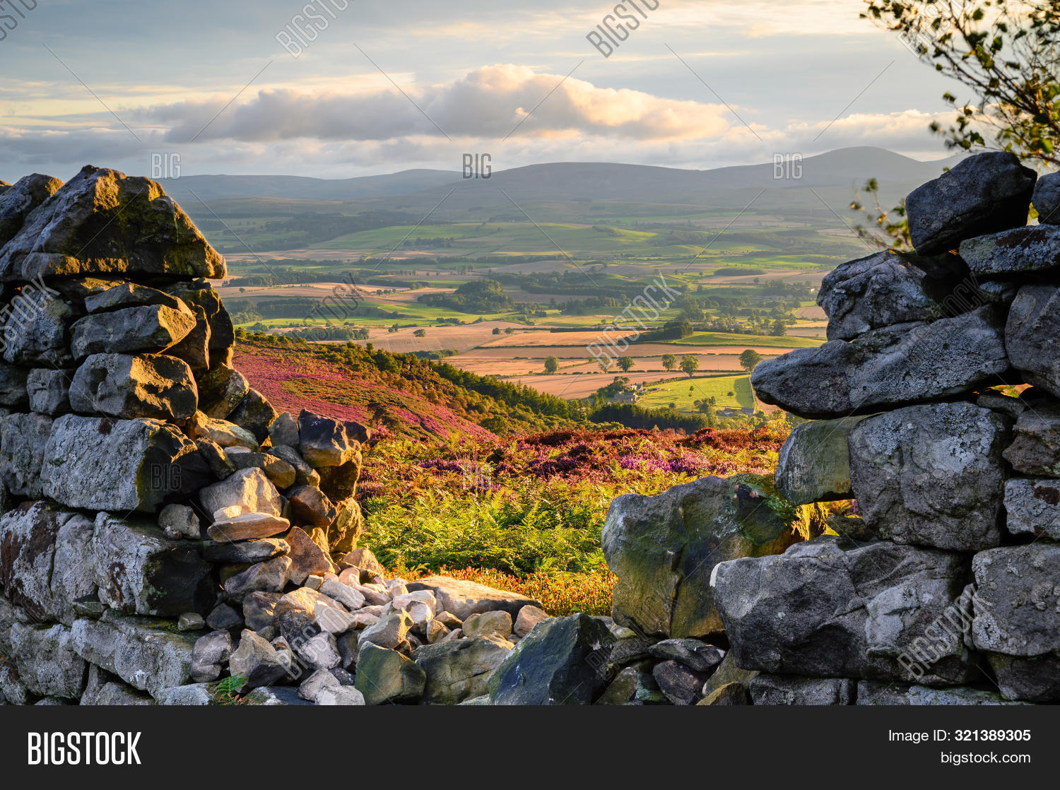 Ros Castle View Image & Photo (Free Trial) | Bigstock