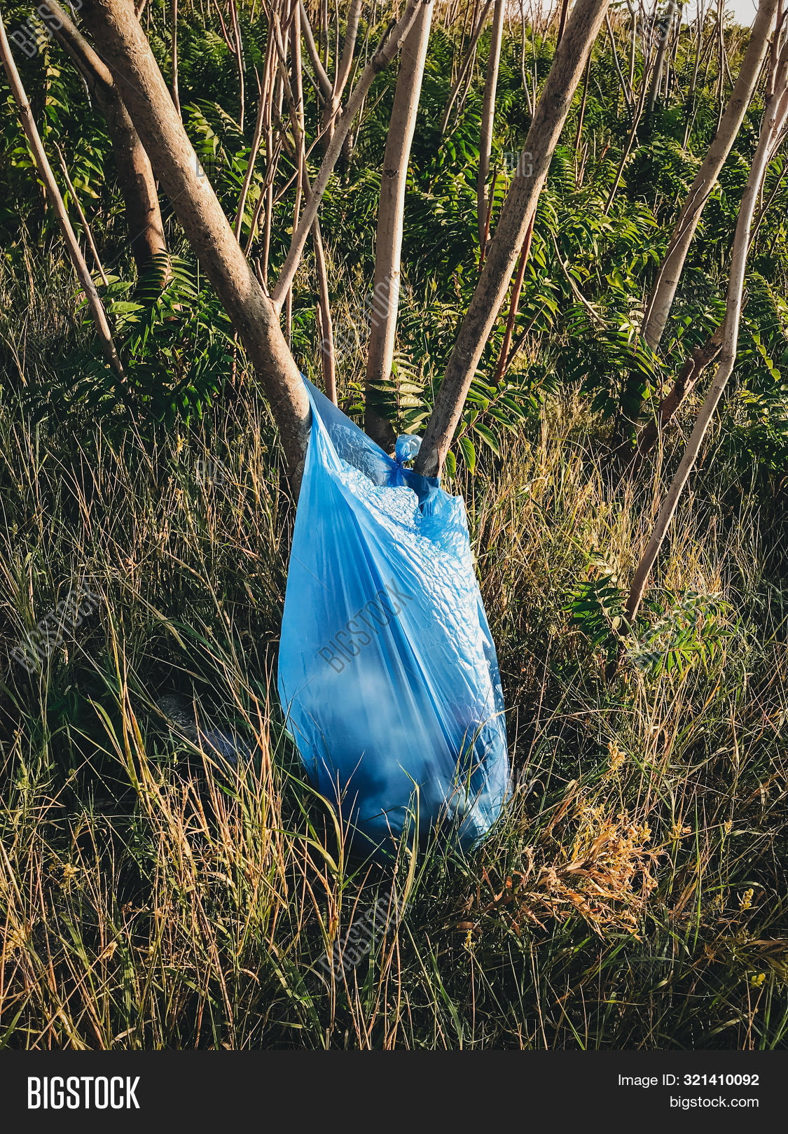 Plastic Bag Trash Tree Image & Photo (Free Trial) | Bigstock