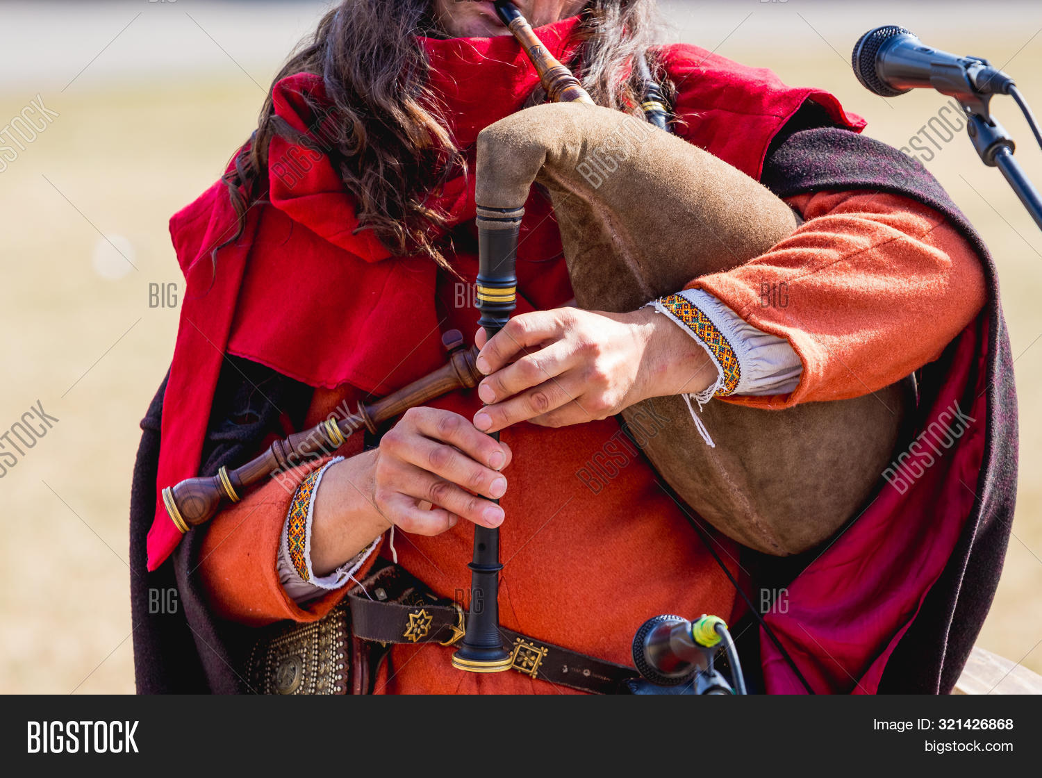 Musician Medieval Image & Photo (Free Trial) | Bigstock