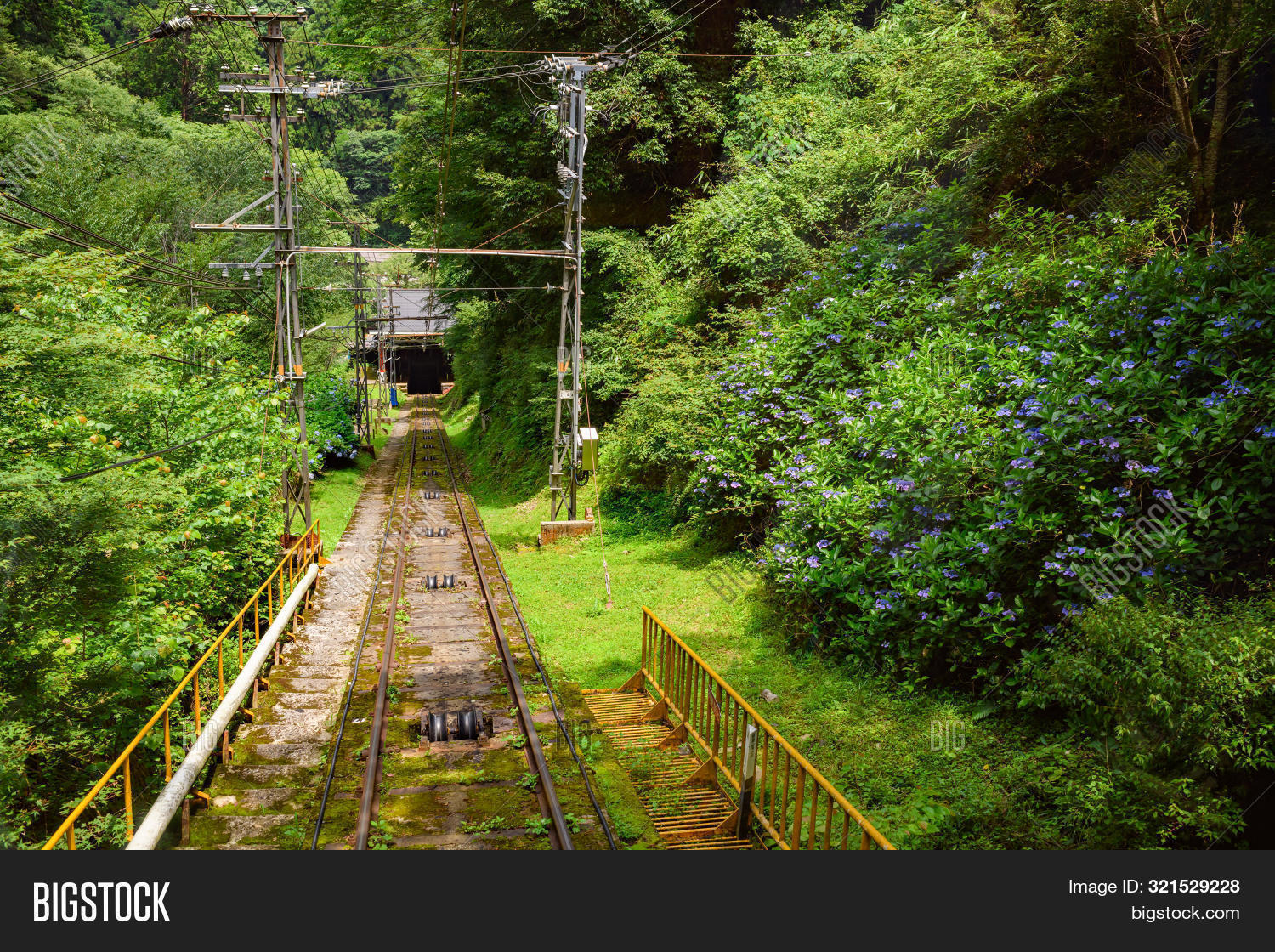 Cabe Line Linking Image & Photo (Free Trial) | Bigstock