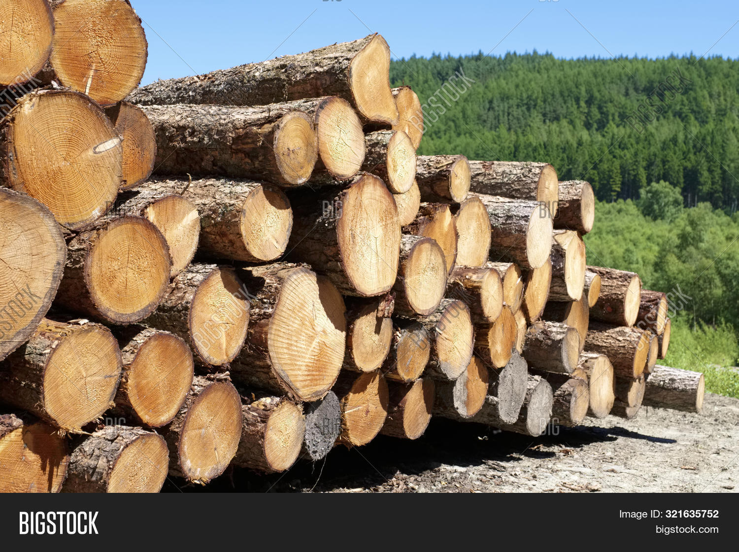 Chopped Wood Logs Sale Image & Photo (Free Trial) | Bigstock