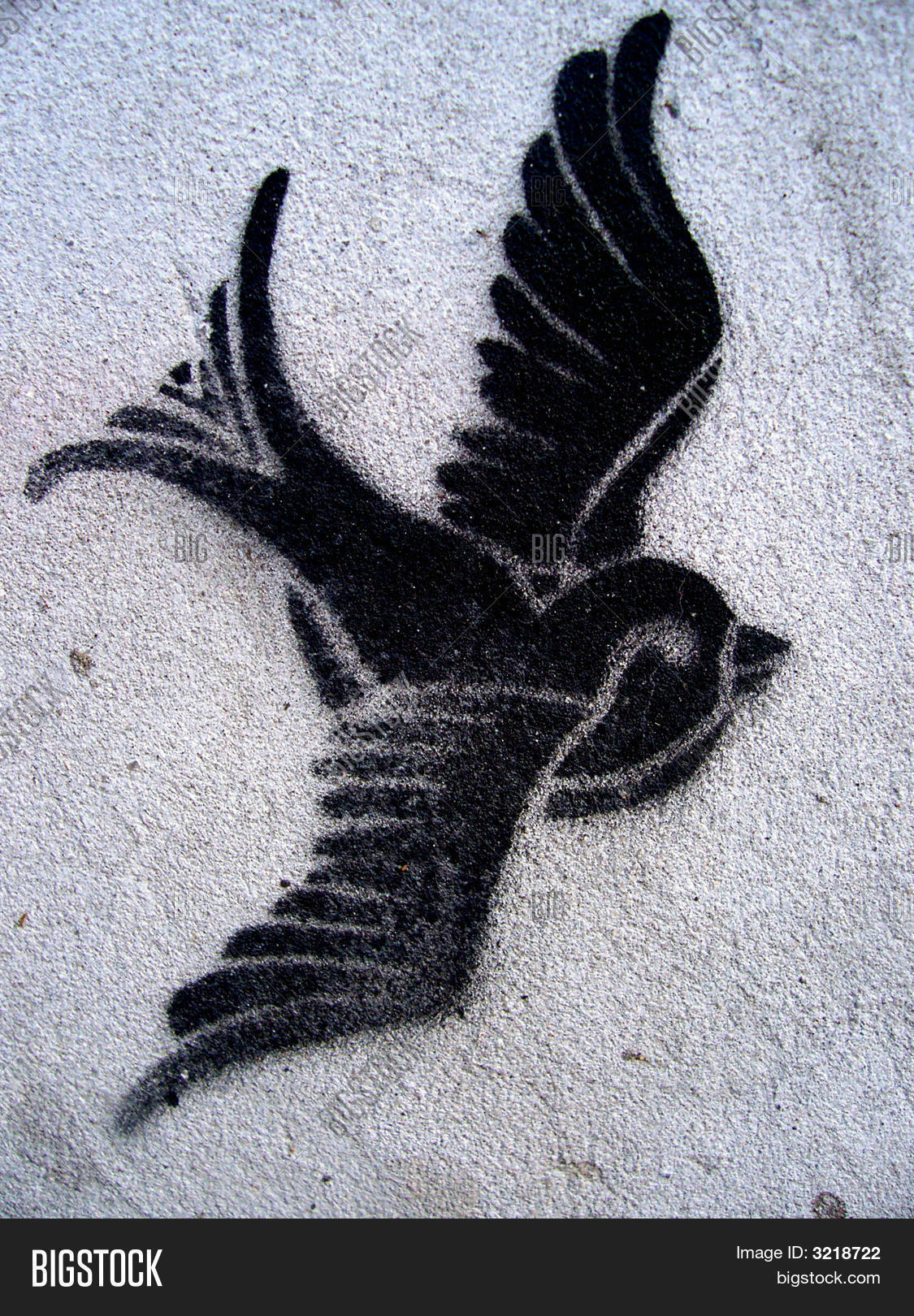 Dove Bird Grafitti Image & Photo (Free Trial) | Bigstock