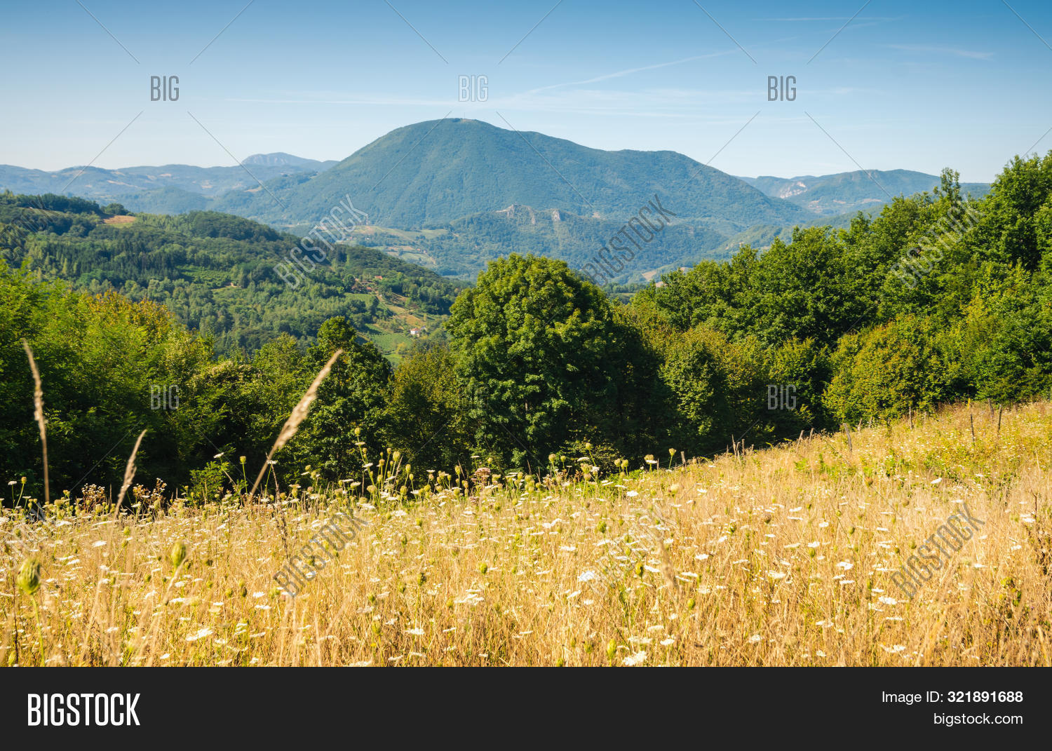 Green Valley Nature Image & Photo (Free Trial) | Bigstock