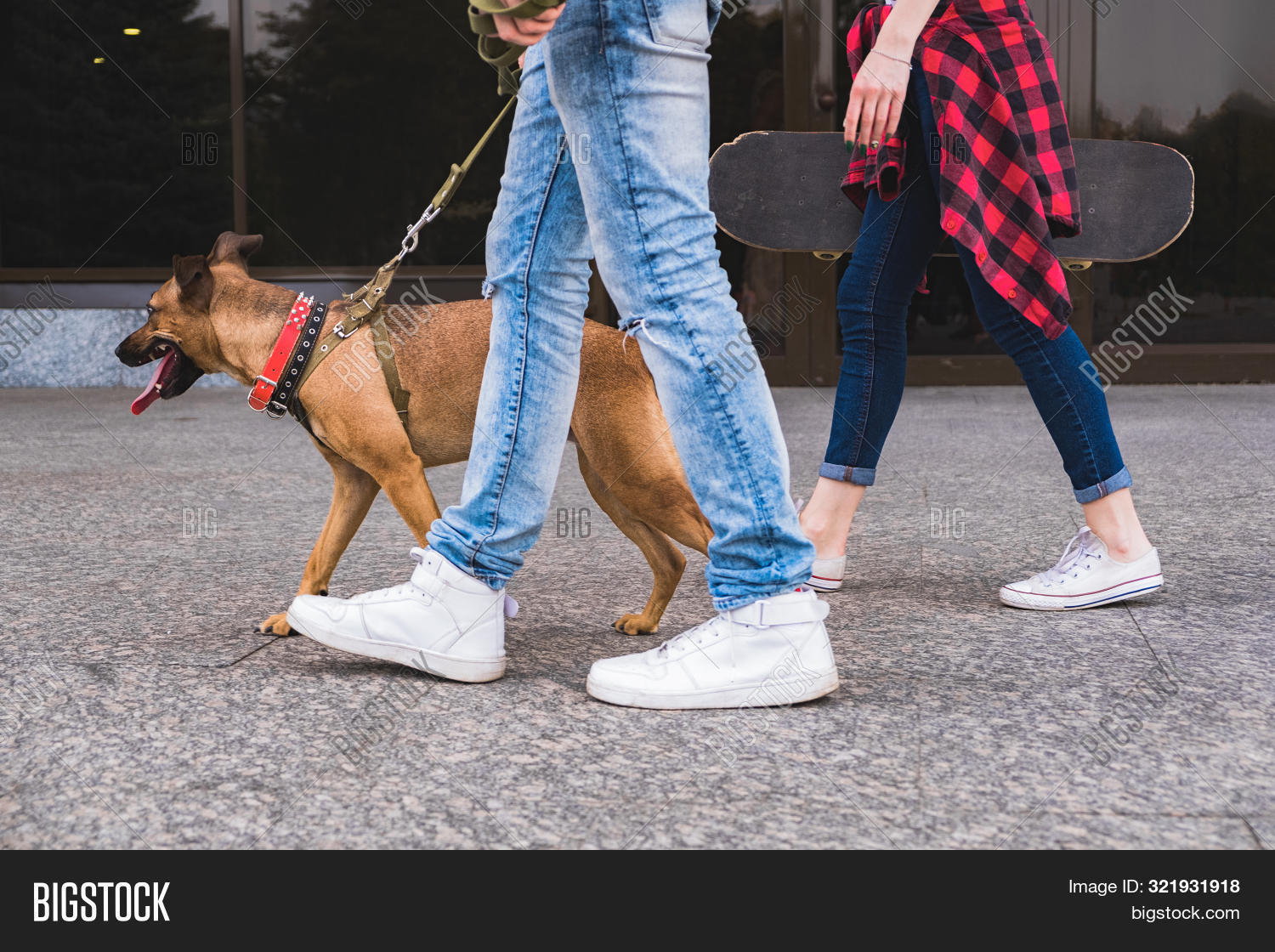 Young People Walk Dog Image & Photo (Free Trial) | Bigstock