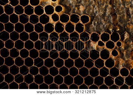 Images, Illustrations & Vectors (Free) - Bigstock