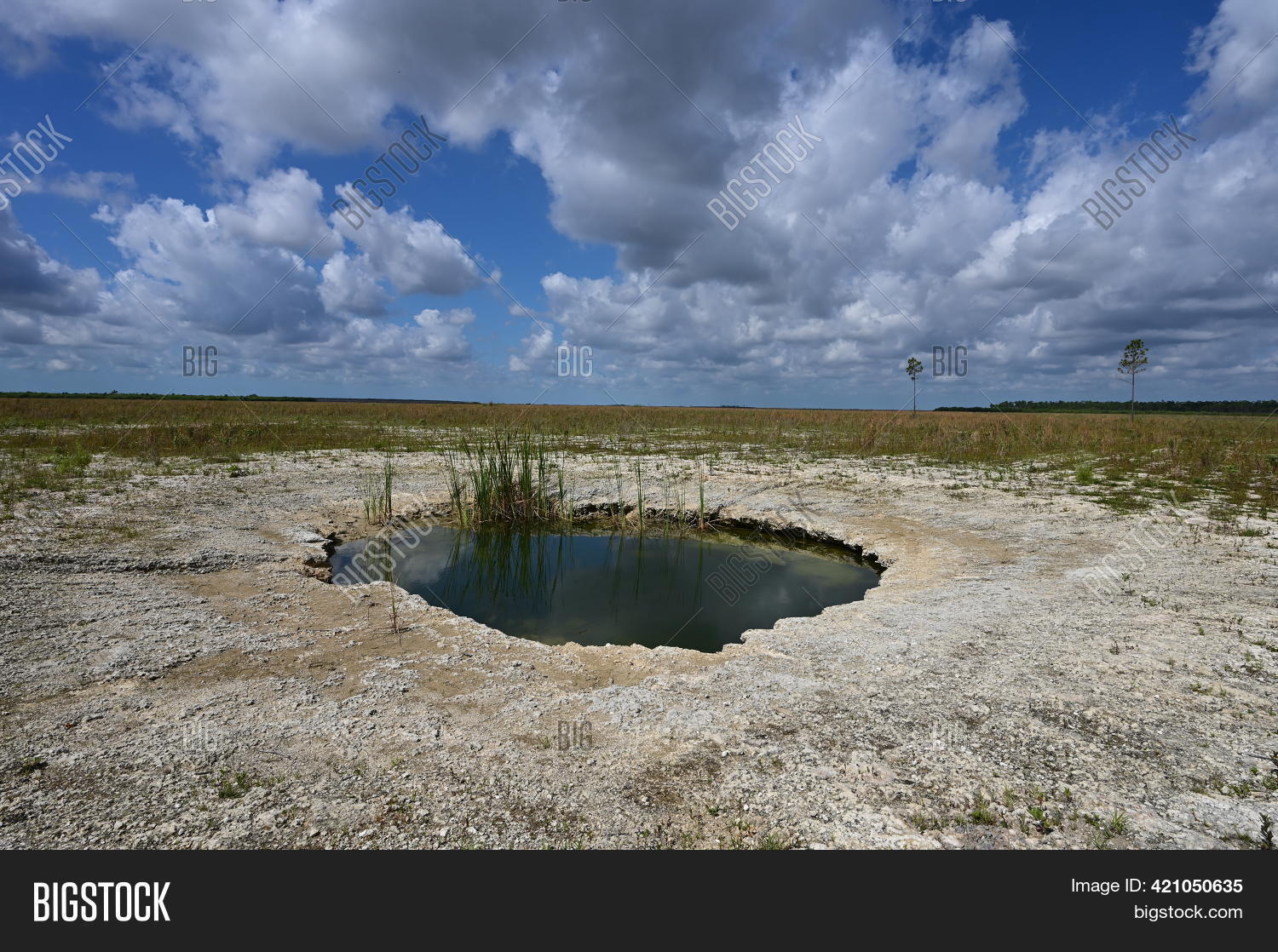 Solution Hole During Image & Photo (Free Trial) | Bigstock