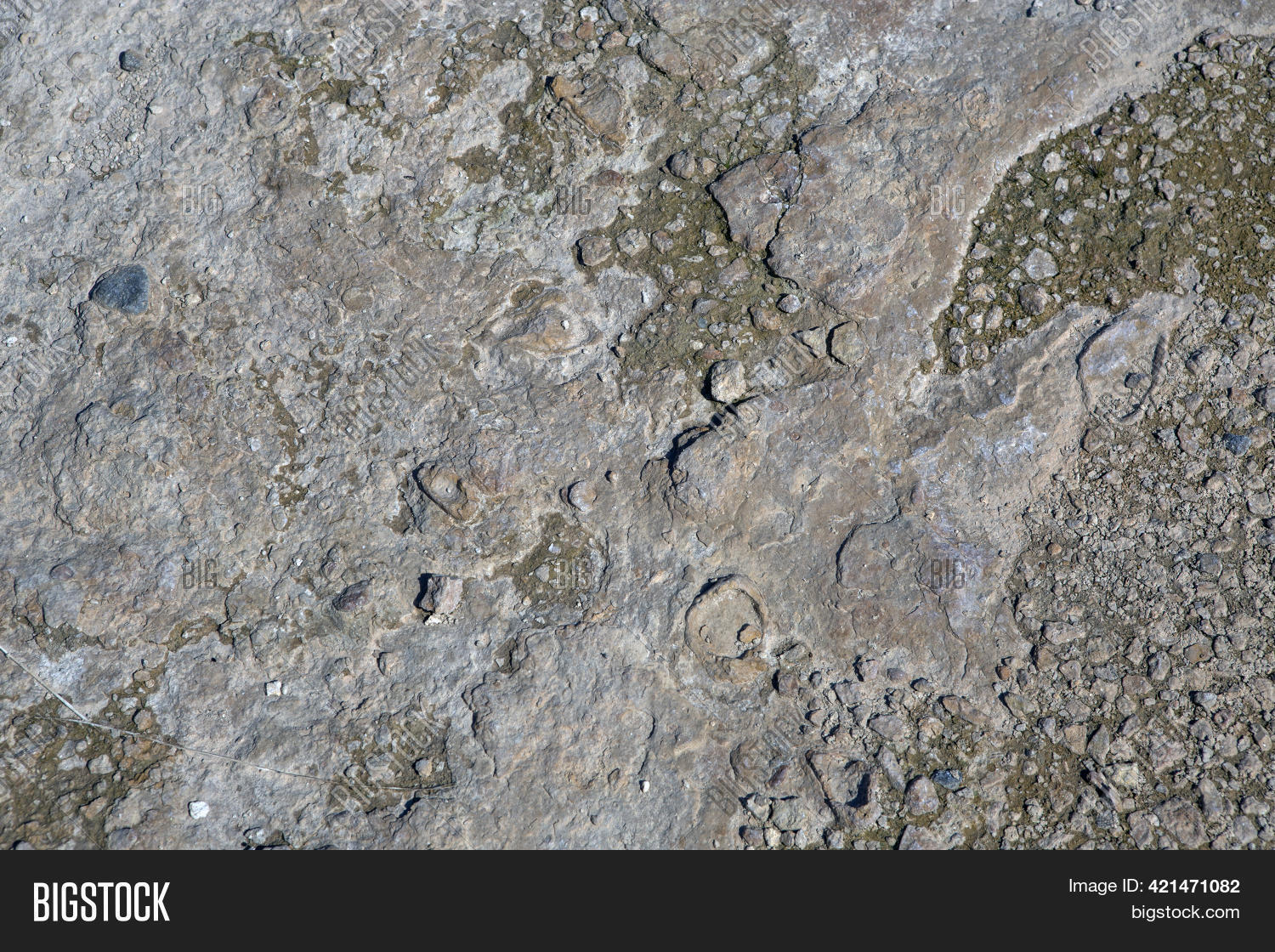 Desert Soil Rocks Sand Image & Photo (Free Trial) | Bigstock