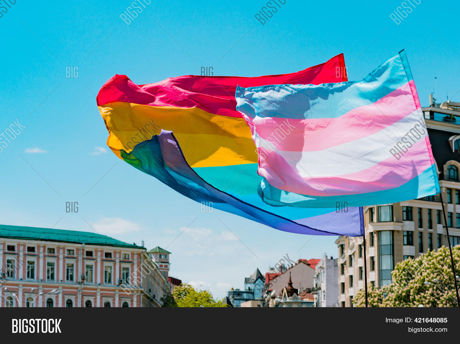 Waving Transgender Gay Image & Photo (Free Trial) | Bigstock