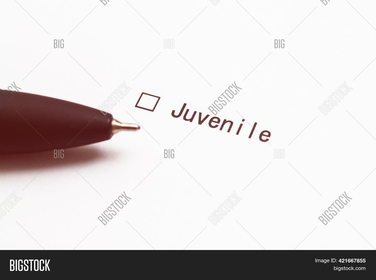 Pen Inscription Image & Photo (Free Trial) | Bigstock