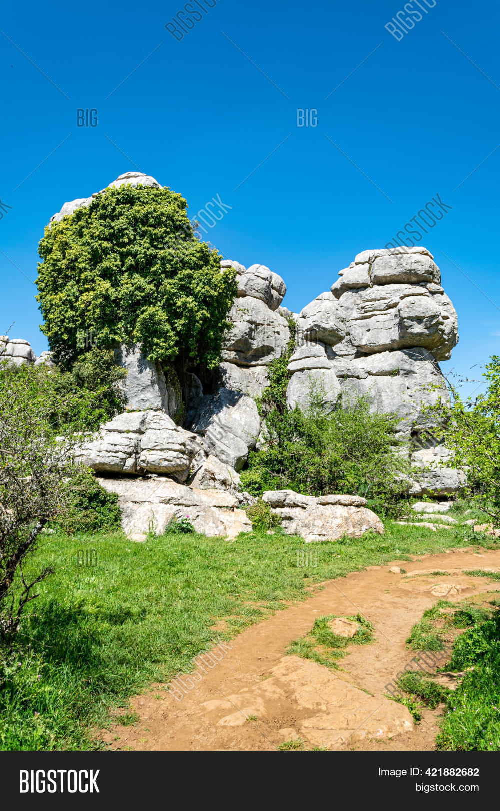 Eroded Limestone Rock Image & Photo (Free Trial) | Bigstock