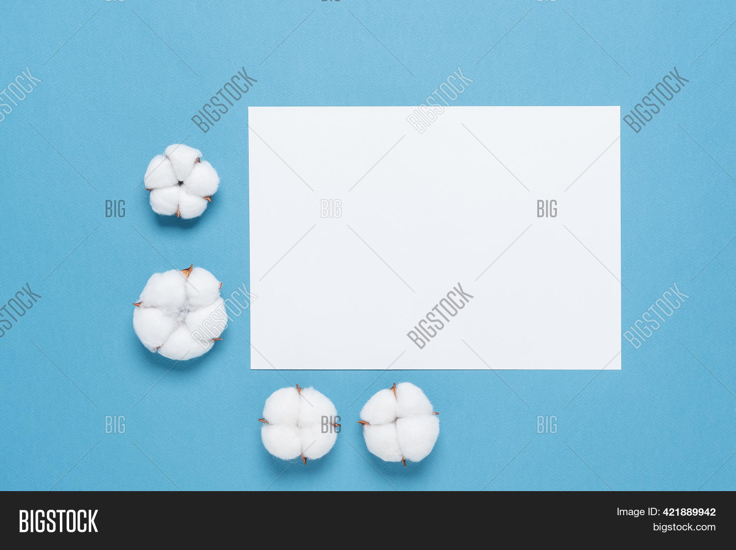 Blank White Paper Card Image & Photo (Free Trial) | Bigstock