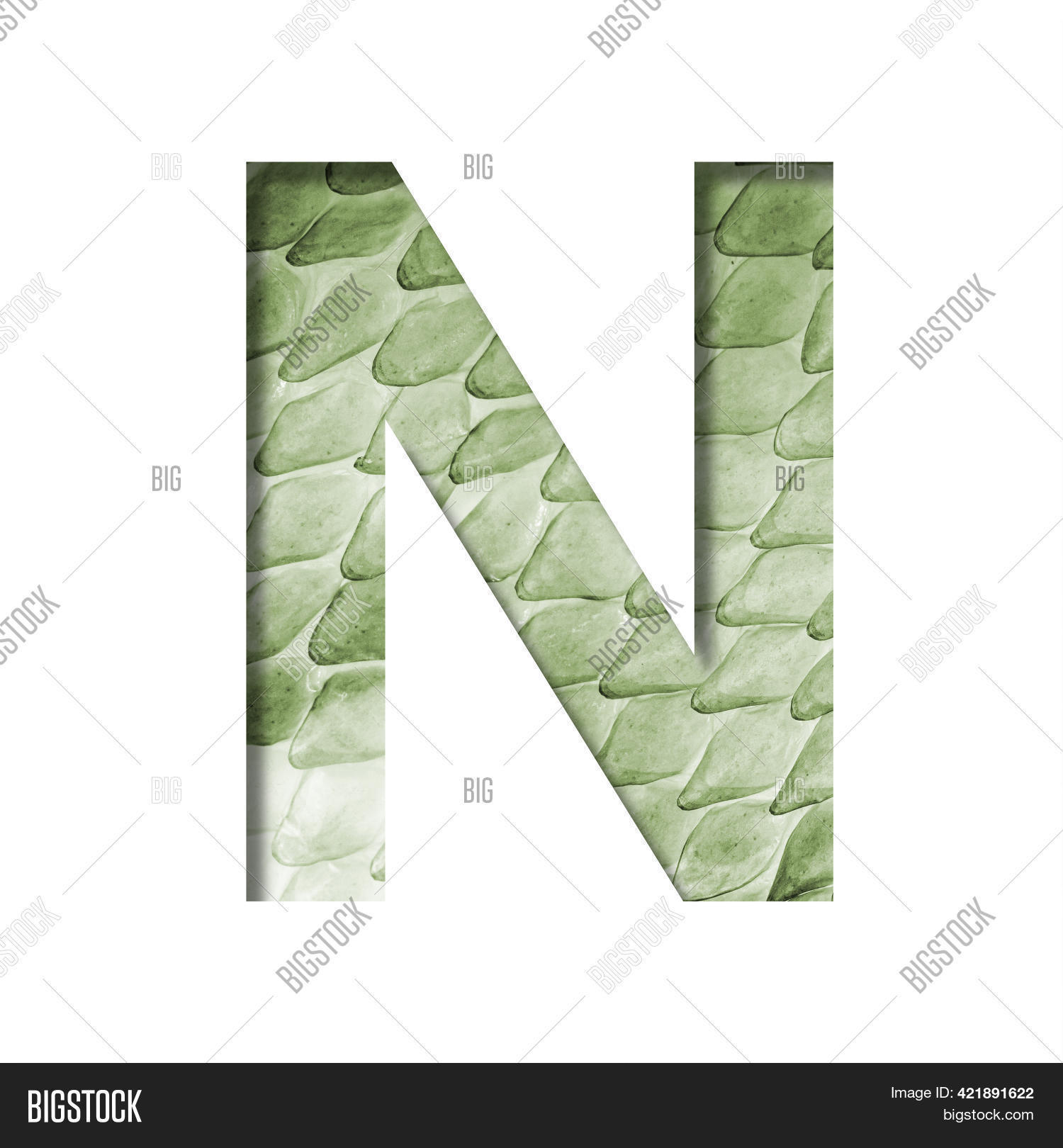Snake Scales Font. Image & Photo (Free Trial) | Bigstock