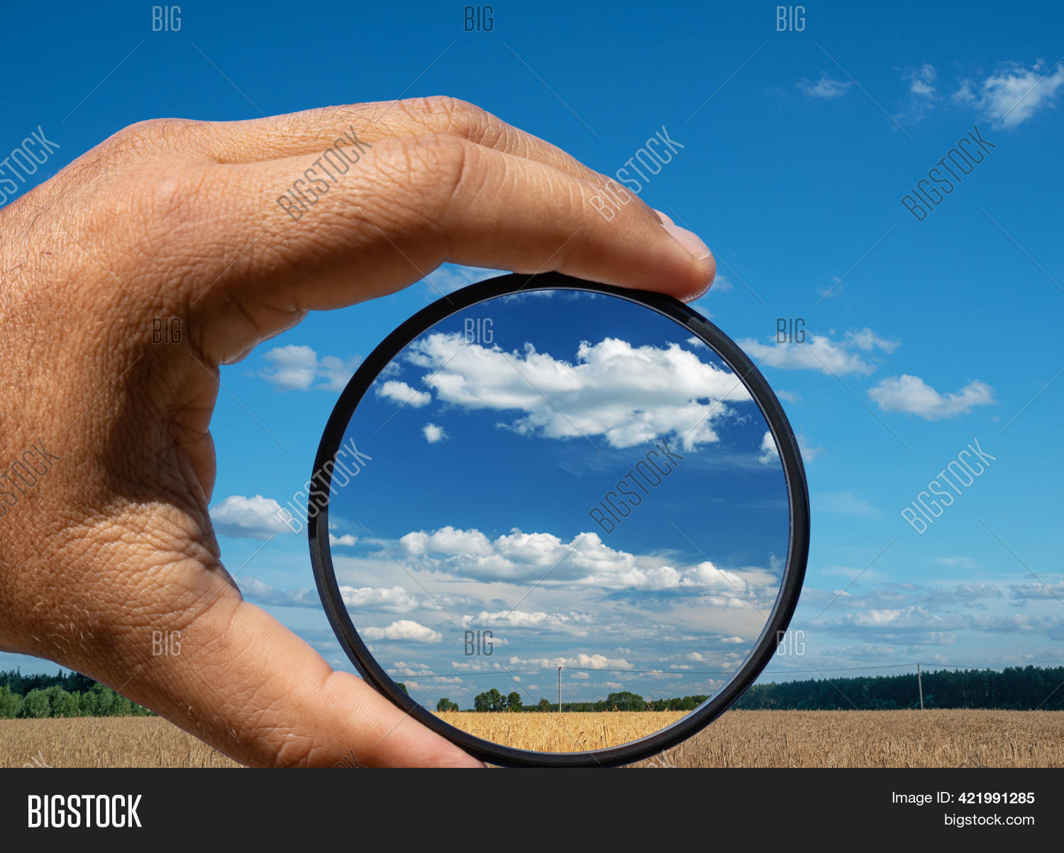 Effect Polarizing Image & Photo (Free Trial) | Bigstock
