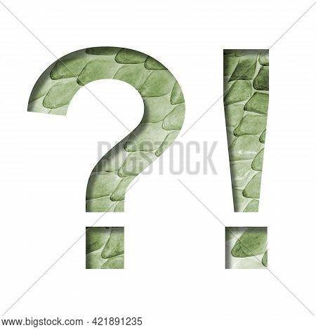 Snake Skin Font. Image & Photo (Free Trial) | Bigstock