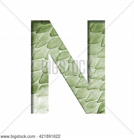 Snake Scales Font. Image & Photo (Free Trial) | Bigstock