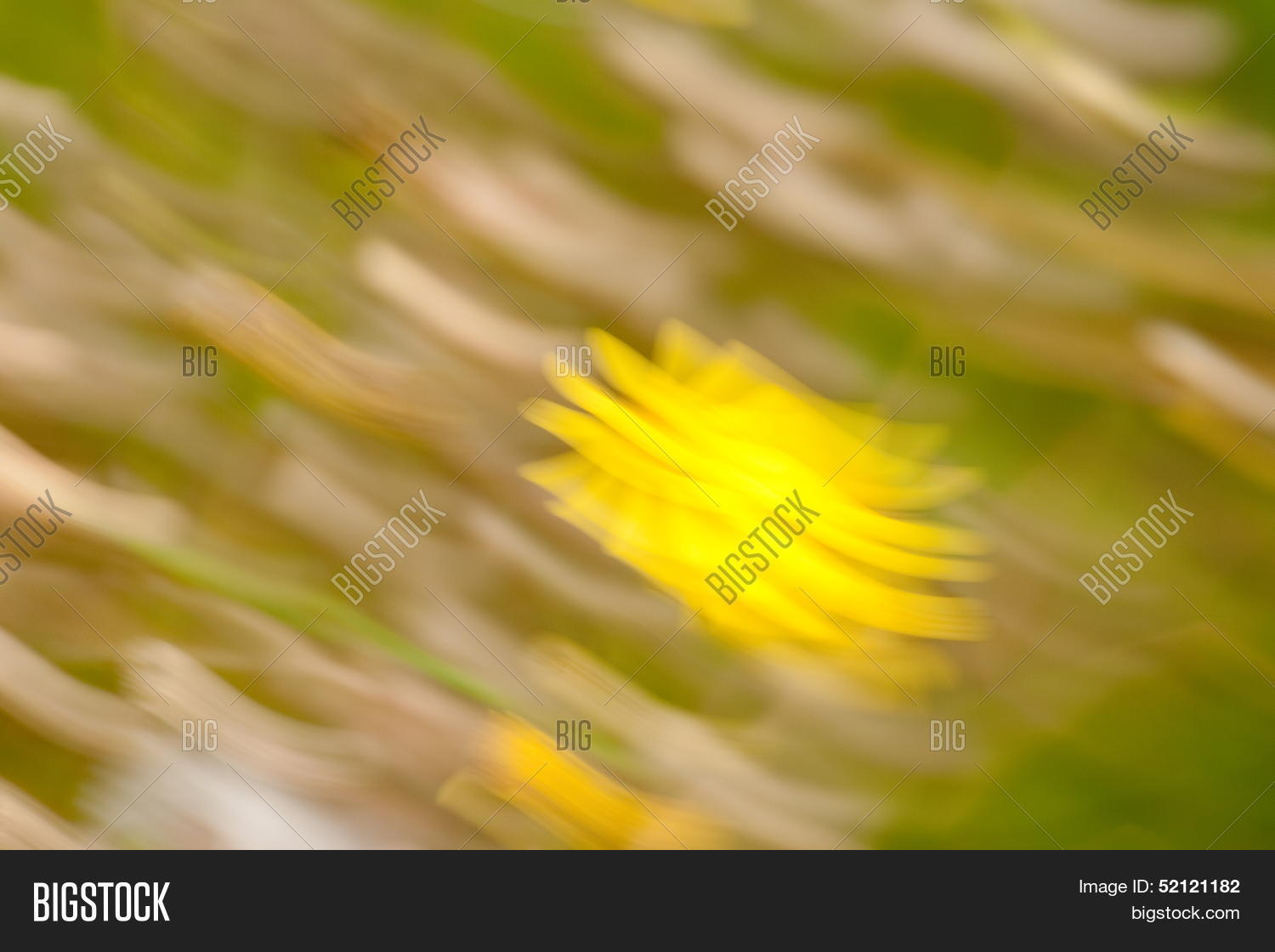 Natural Motion Image & Photo (Free Trial) | Bigstock