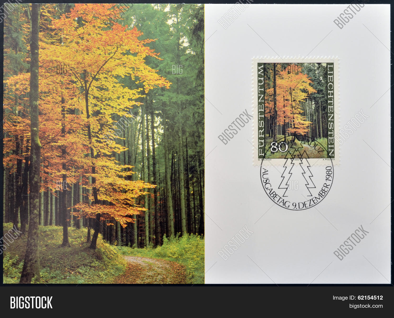 Stamp Dedicated Forest Image & Photo (Free Trial) | Bigstock