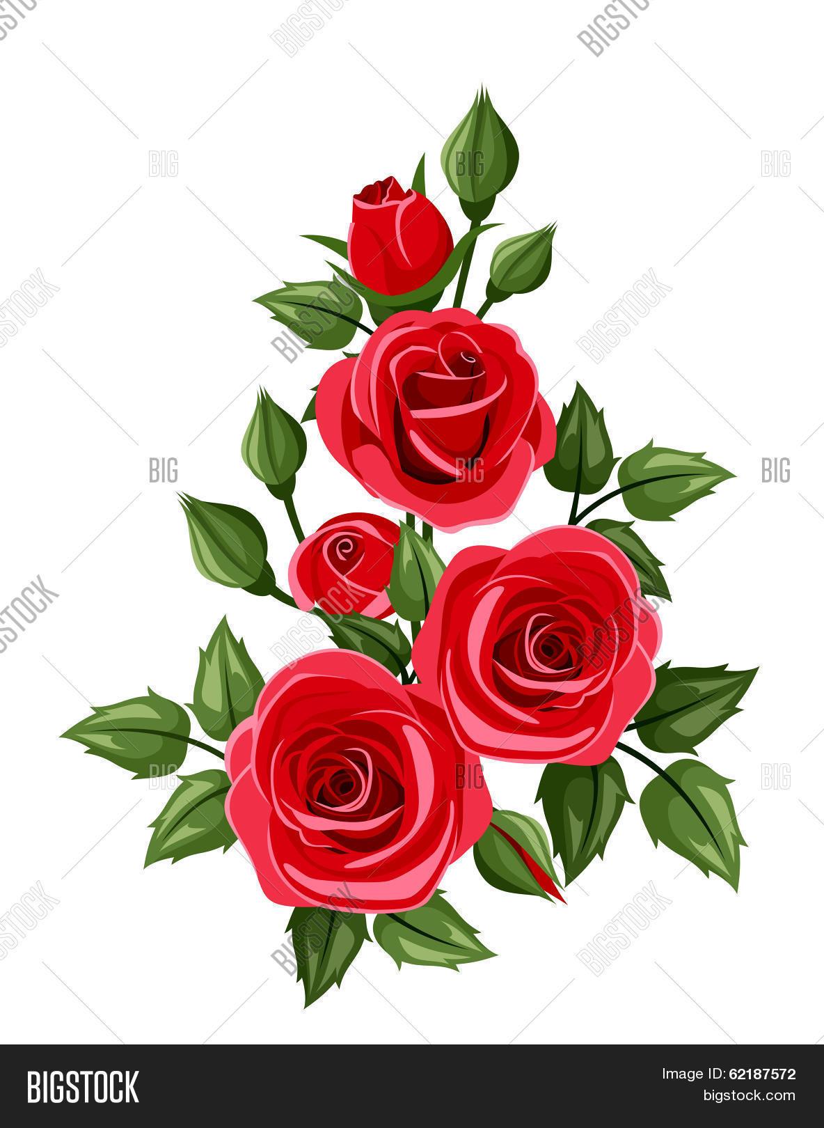 Branch Red Roses. Vector & Photo (Free Trial) | Bigstock