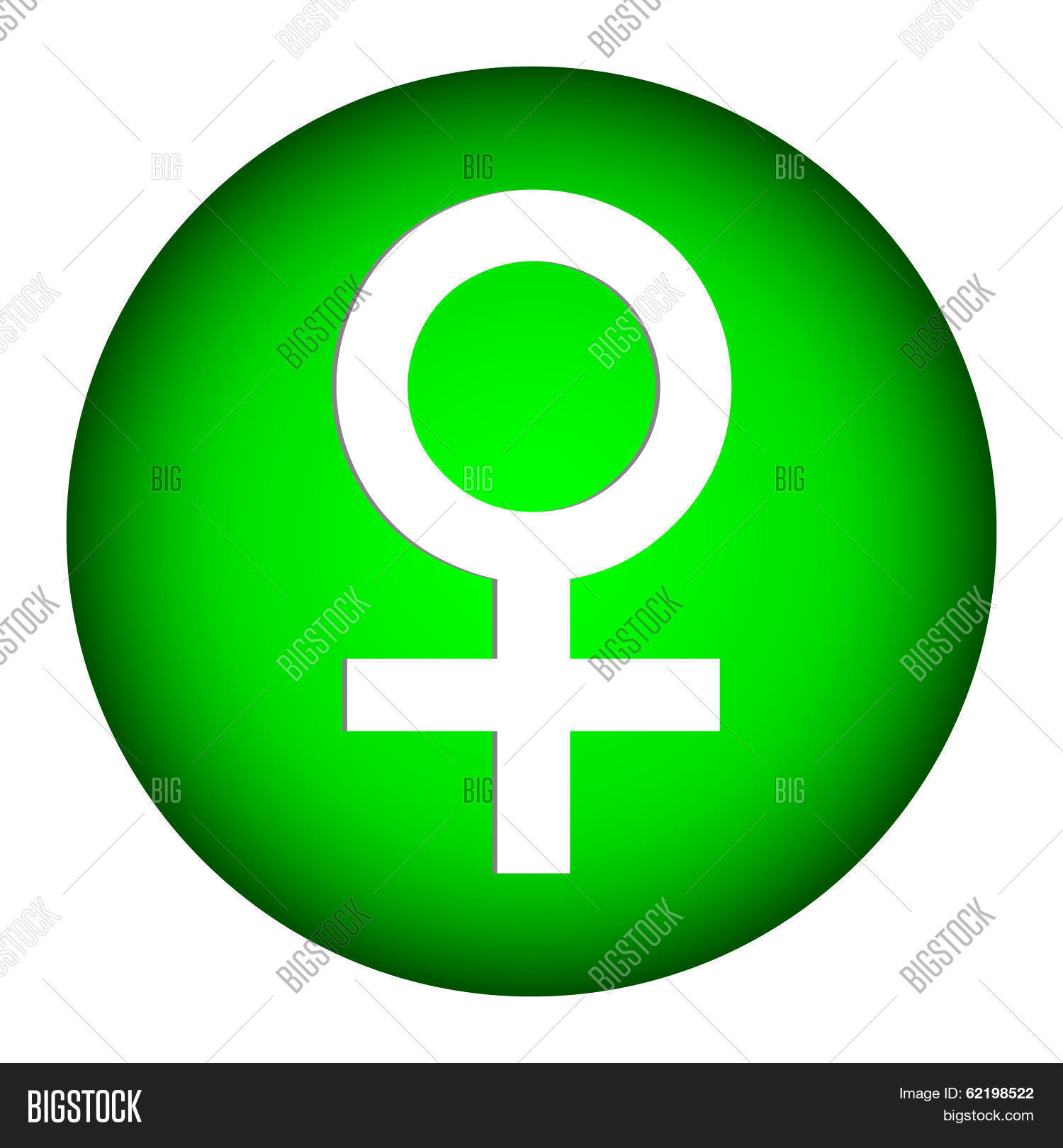 Gender Female Symbol Vector & Photo (Free Trial) | Bigstock