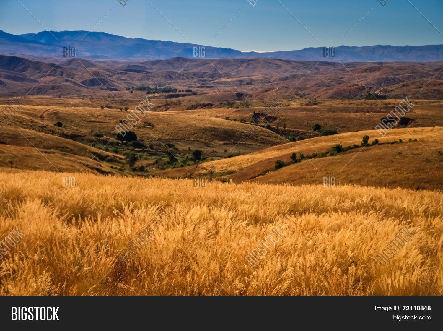 Grassland Landscape Image & Photo (Free Trial) | Bigstock