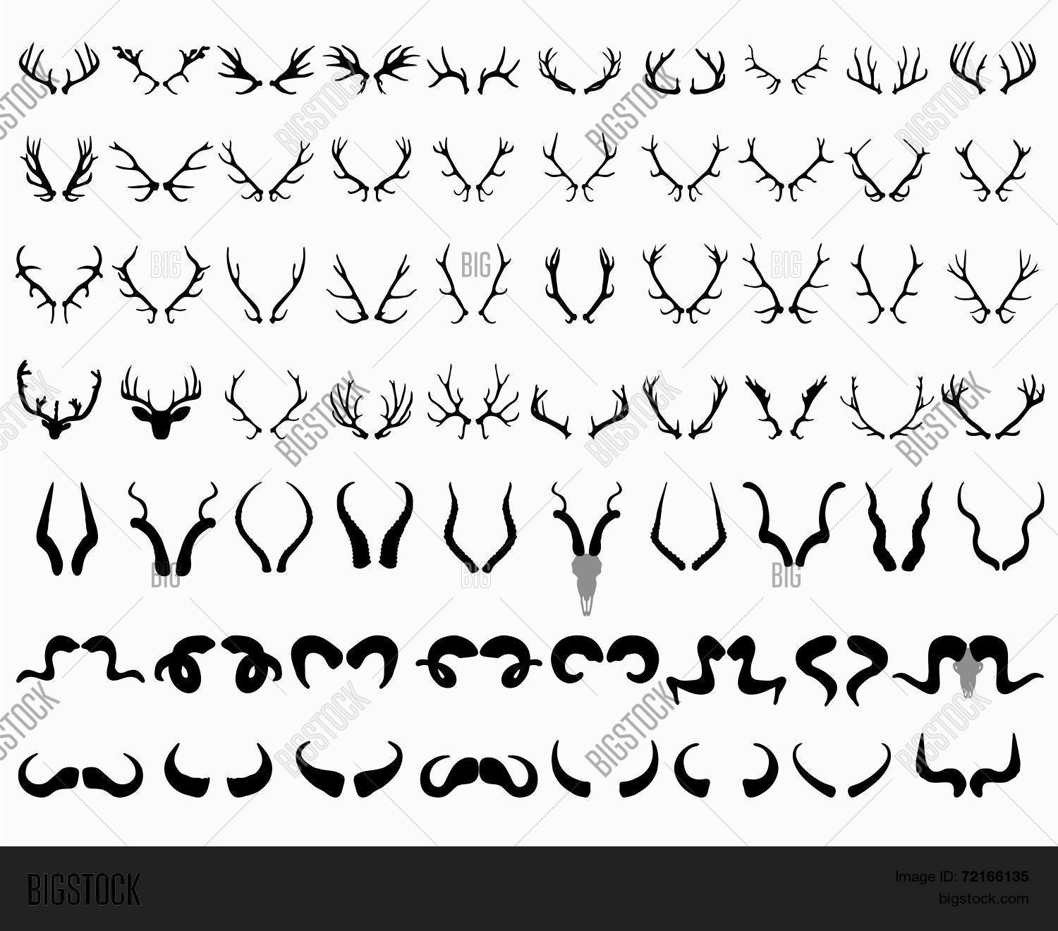 Horns Vector & Photo (Free Trial) | Bigstock