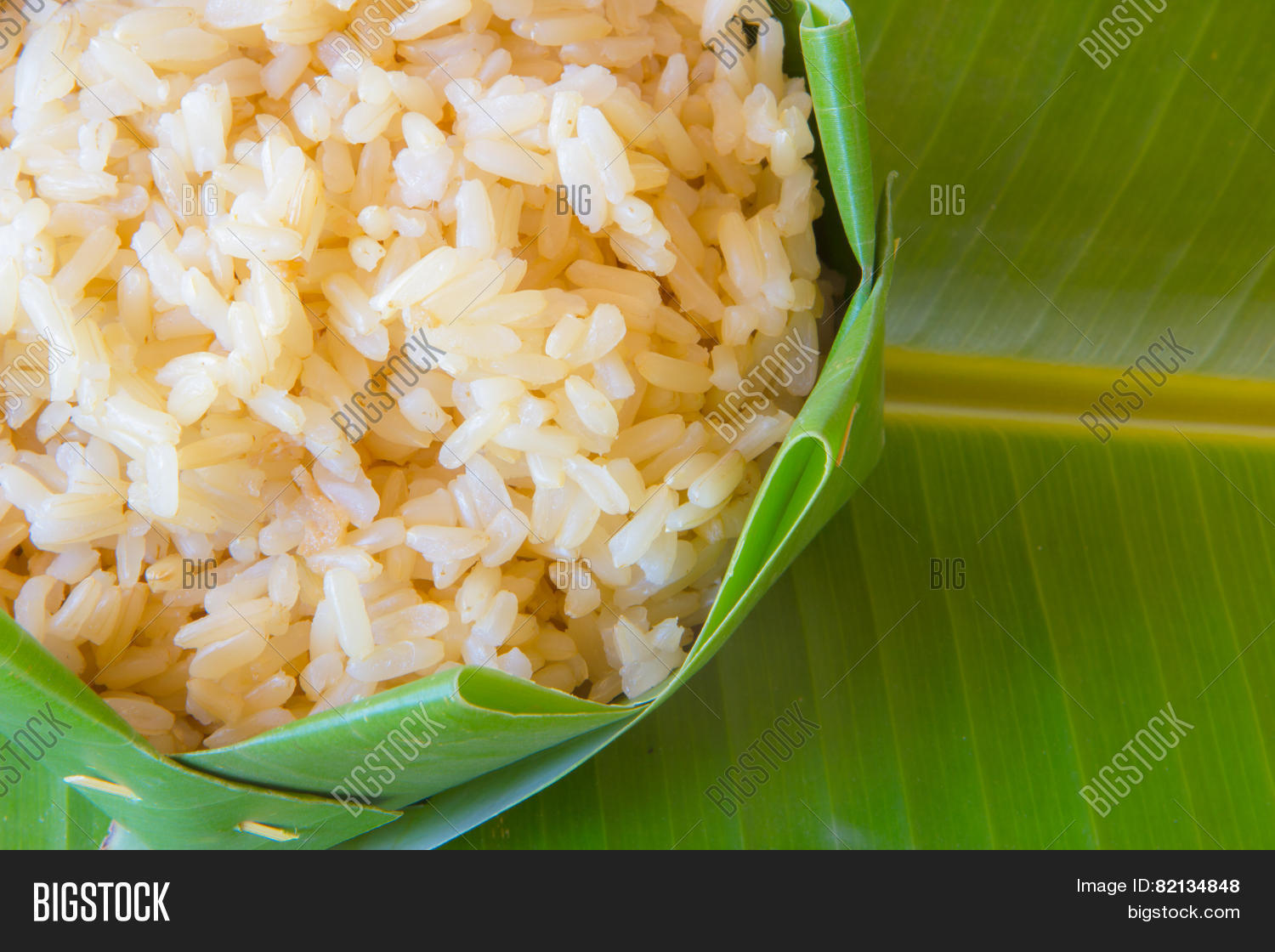 GA BA Rice Germinated Image & Photo (Free Trial) | Bigstock