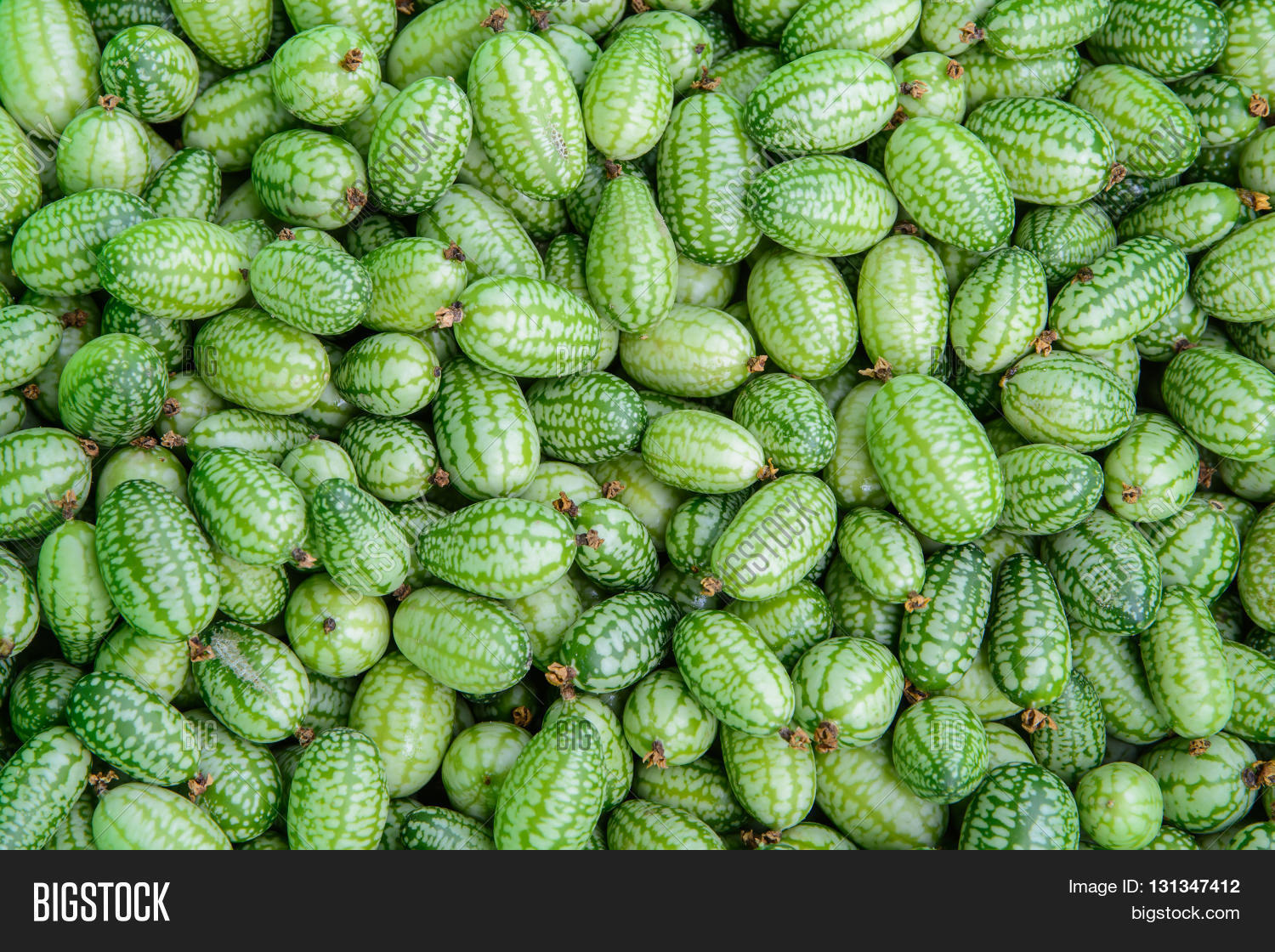 Fresh Cucamelon ( Image & Photo (Free Trial) | Bigstock