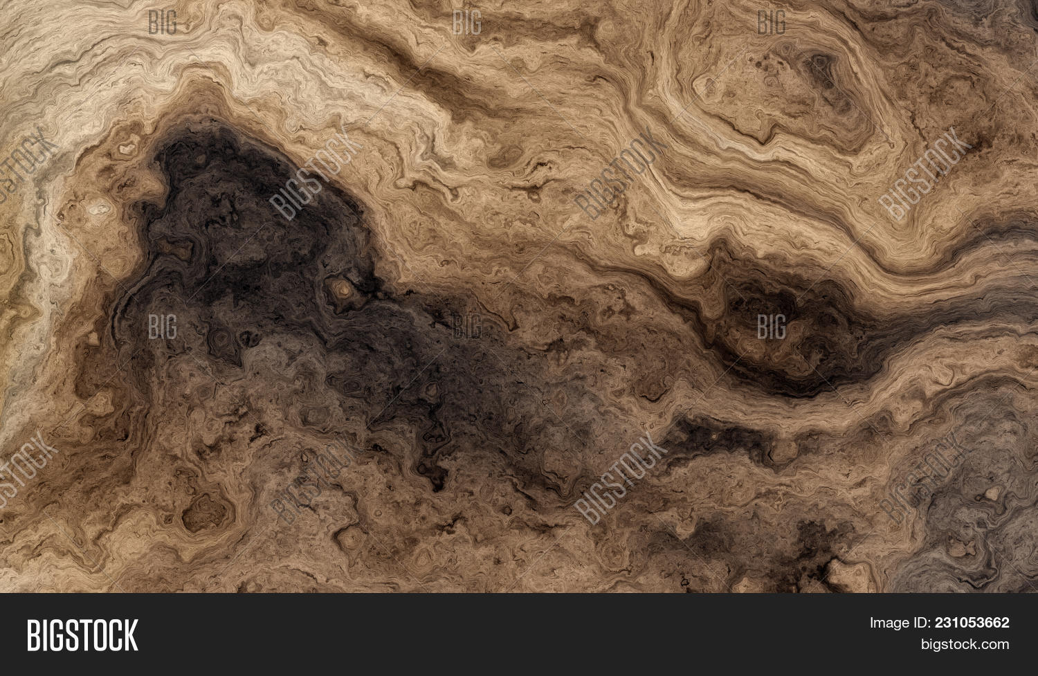 Texture Roots Tree Image & Photo (Free Trial) | Bigstock